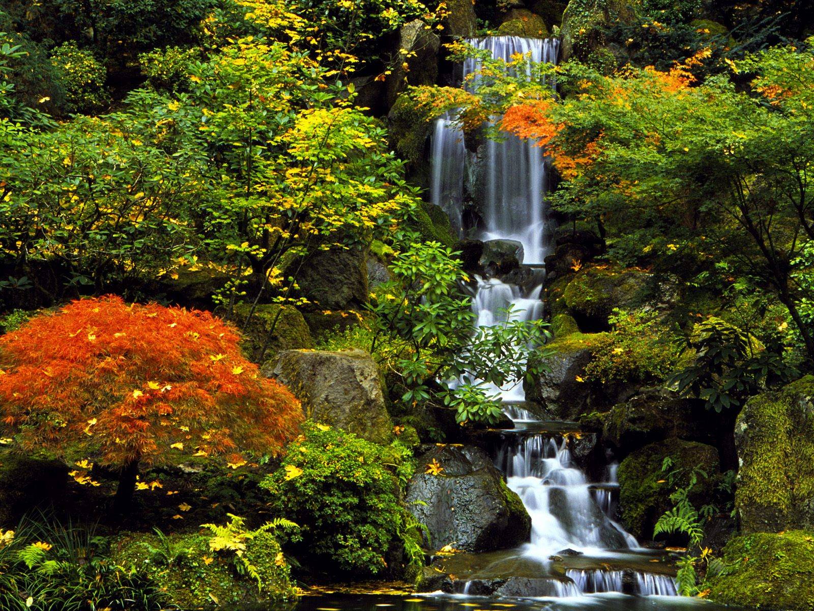 Garden Waterfall Wallpapers - Top Free Garden Waterfall Backgrounds ...