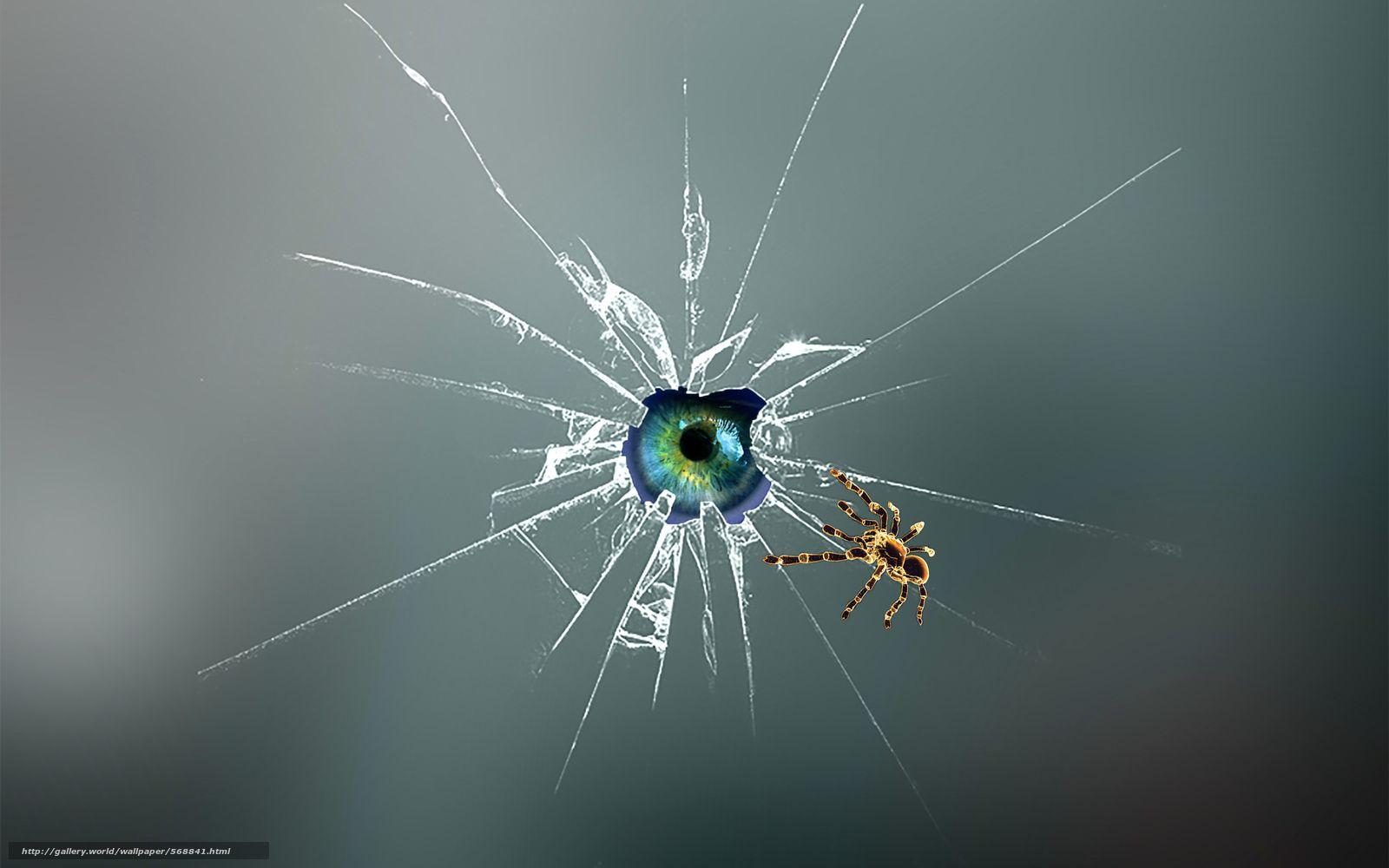 3D Spider Wallpapers - Top Free 3D Spider Backgrounds - WallpaperAccess