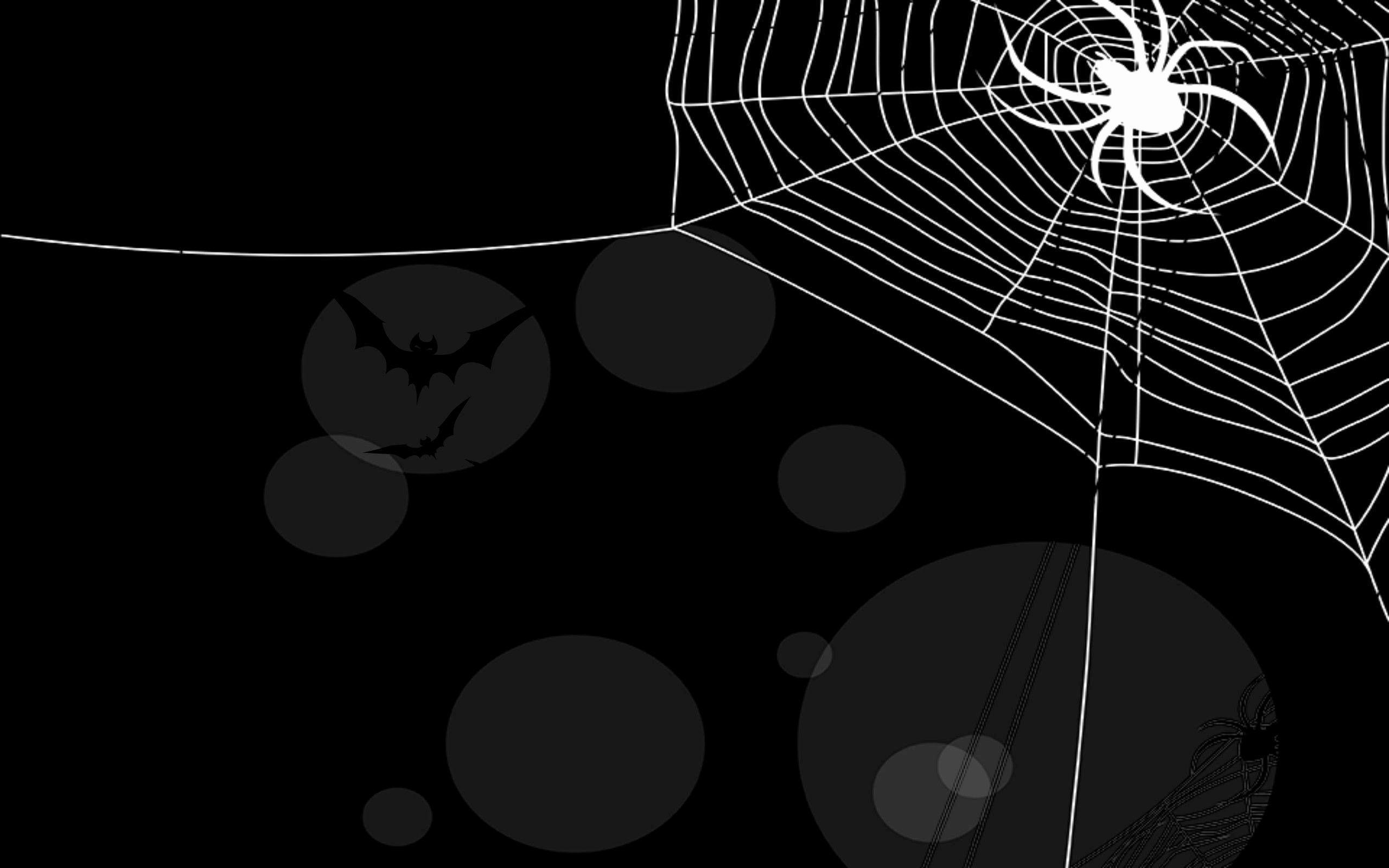 Spider Web Wallpapers - Top Free Spider Web Backgrounds - WallpaperAccess