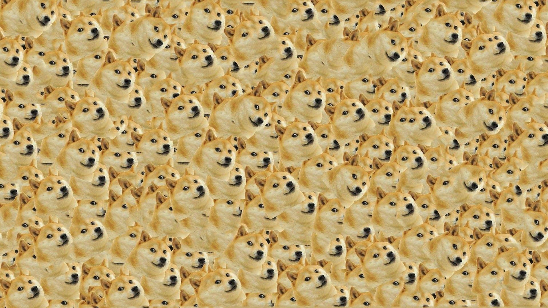 Doge Meme Wallpapers - Top Free Doge Meme Backgrounds - WallpaperAccess