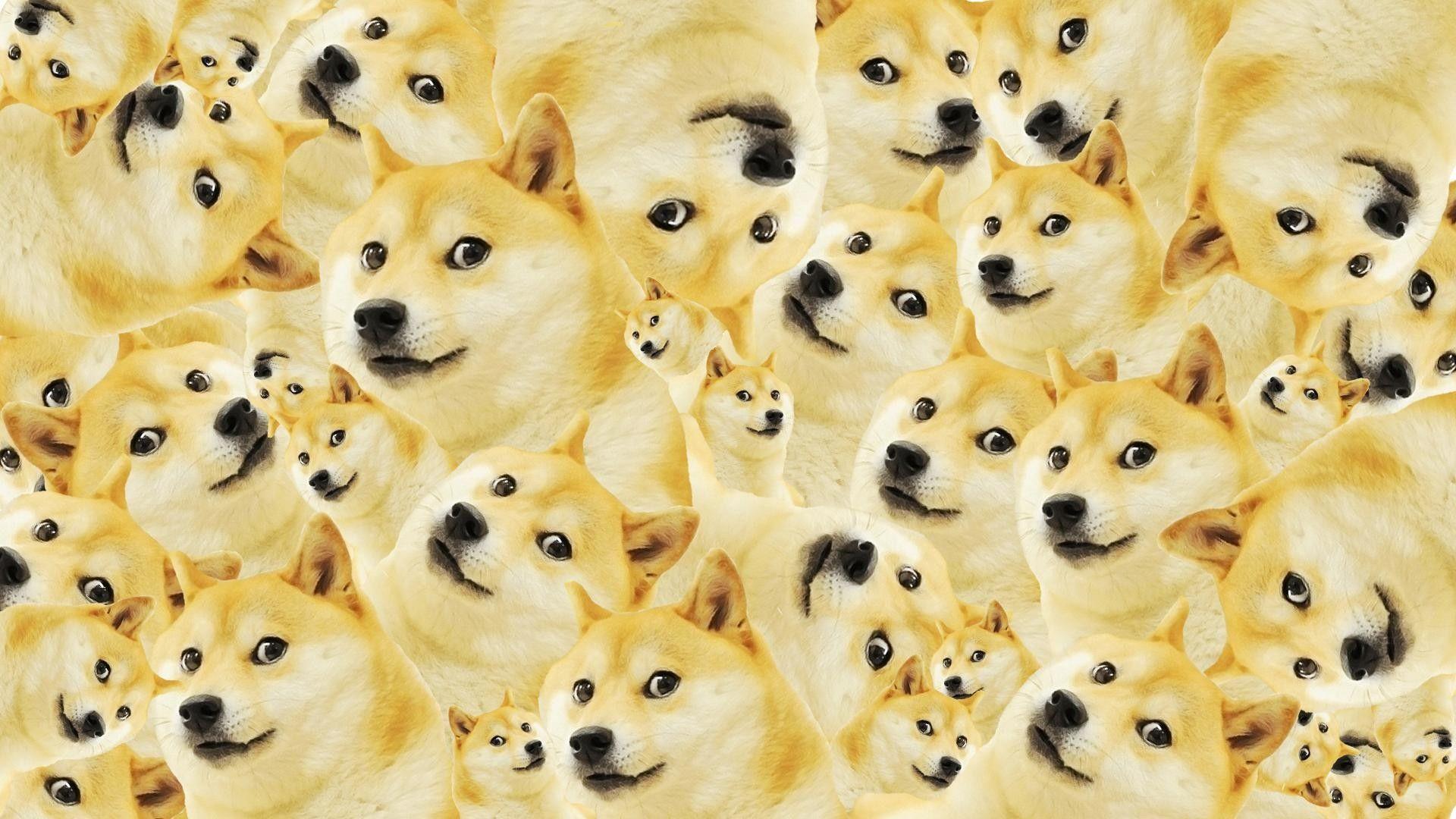 Doge Meme Wallpapers - Top Free Doge Meme Backgrounds - WallpaperAccess