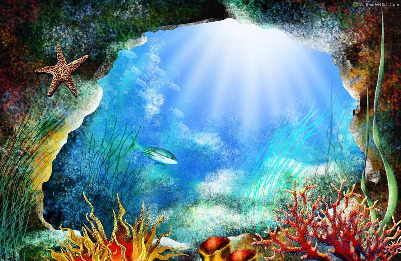 Hawaii Underwater Wallpapers - Top Free Hawaii Underwater Backgrounds ...