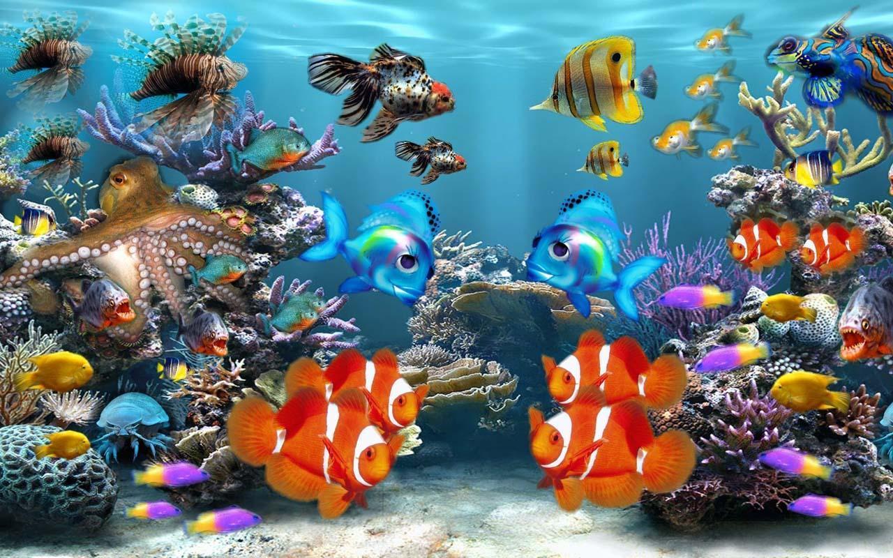 Saltwater Fish Wallpapers - Top Free Saltwater Fish Backgrounds ...