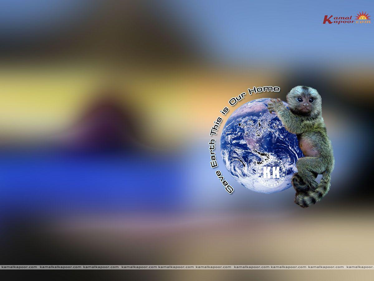 Save Earth Wallpapers - Top Free Save Earth Backgrounds - WallpaperAccess