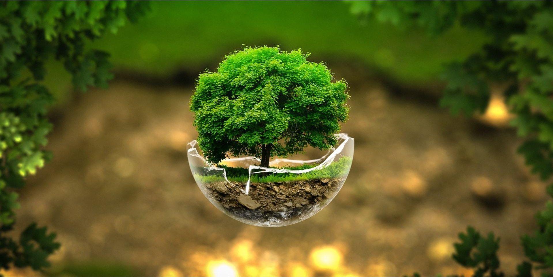 Save Earth Wallpapers - Top Free Save Earth Backgrounds - WallpaperAccess