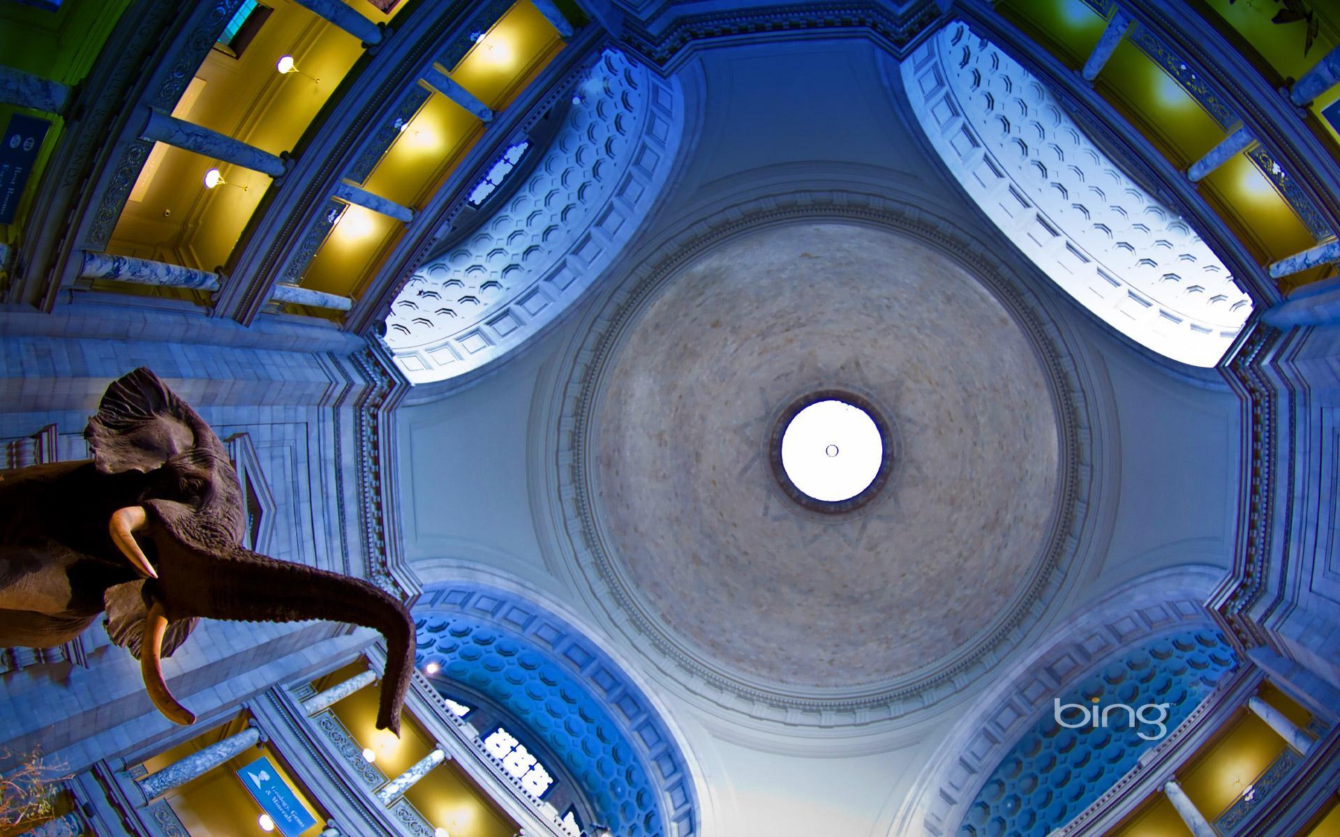 Smithsonian Wallpapers - Top Free Smithsonian Backgrounds - WallpaperAccess