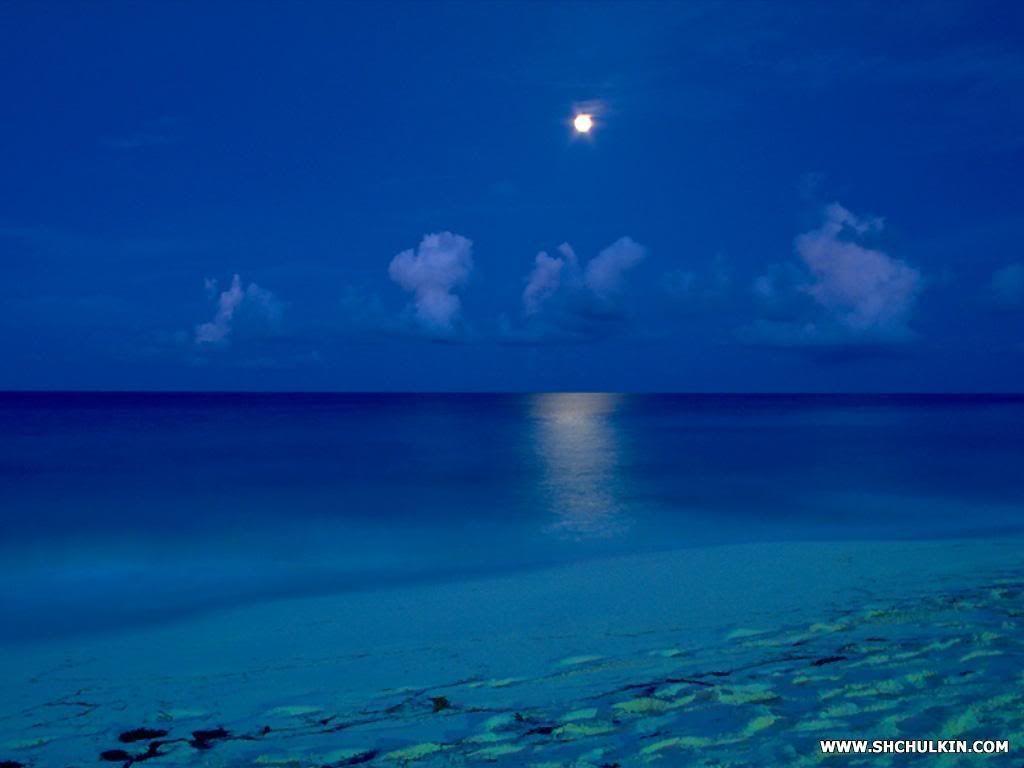 Moonlight Beach Wallpapers - Top Free Moonlight Beach Backgrounds ...