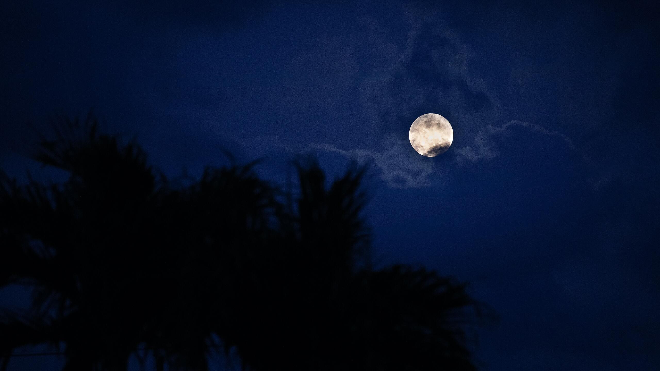 Moonlight Night Wallpapers - Top Free Moonlight Night Backgrounds ...