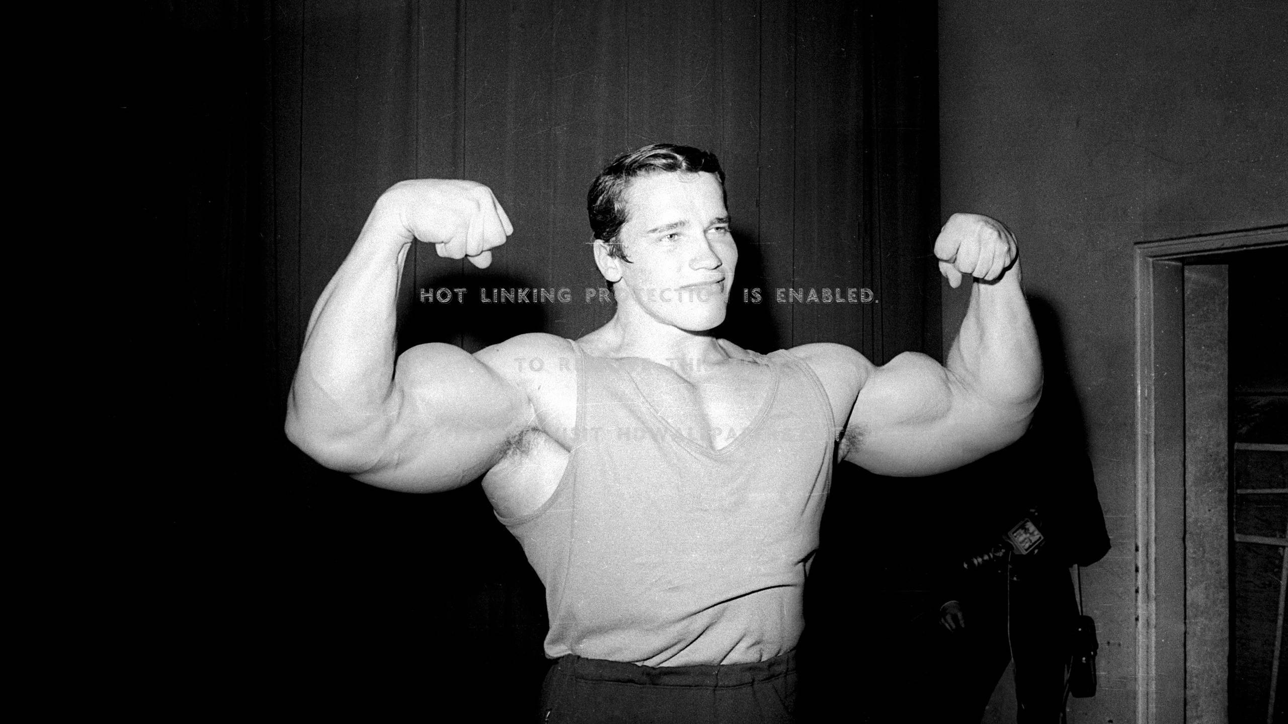 Arnold Desktop Wallpapers - Top Free Arnold Desktop Backgrounds ...