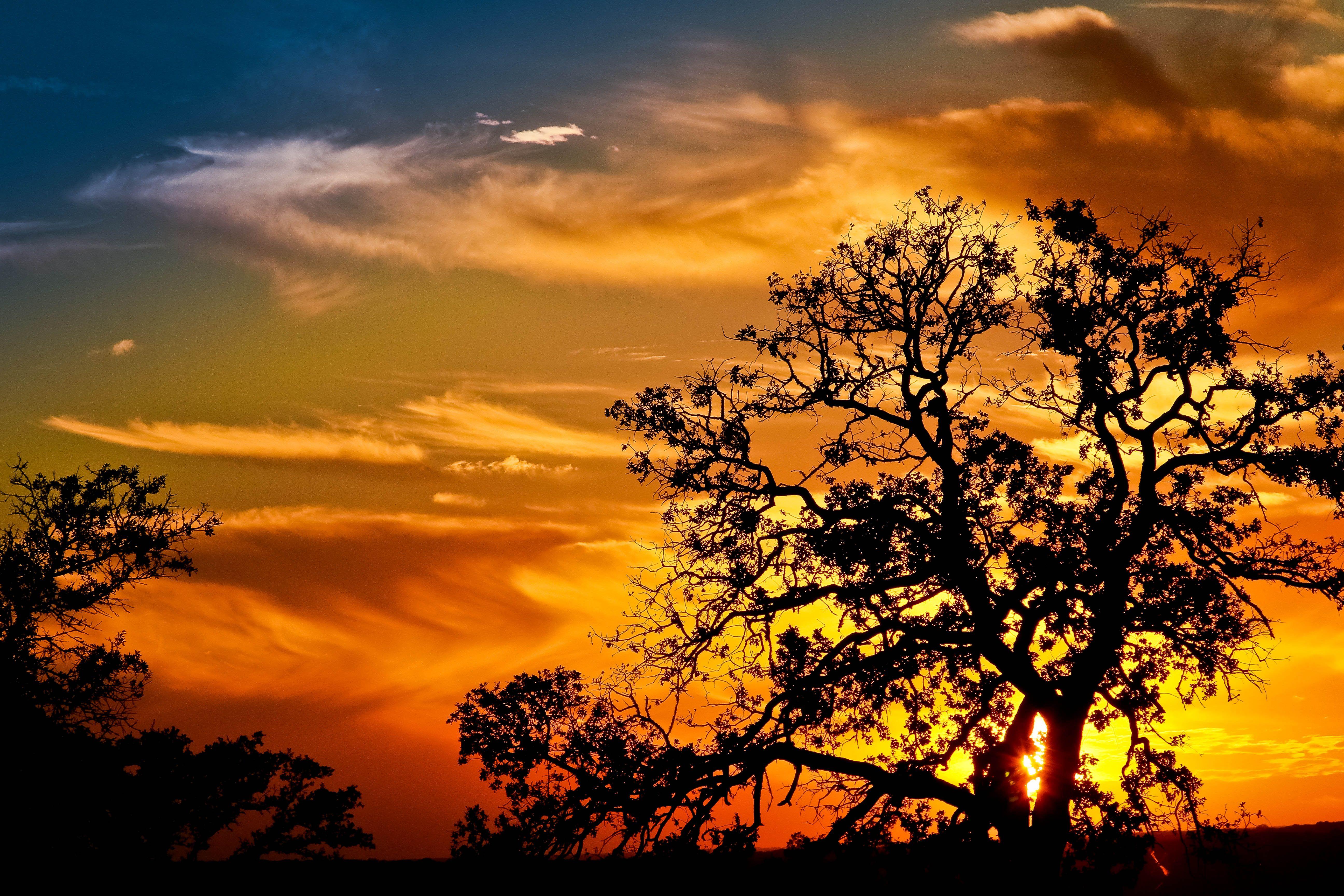 Texas Sunset Wallpapers - Top Free Texas Sunset Backgrounds ...