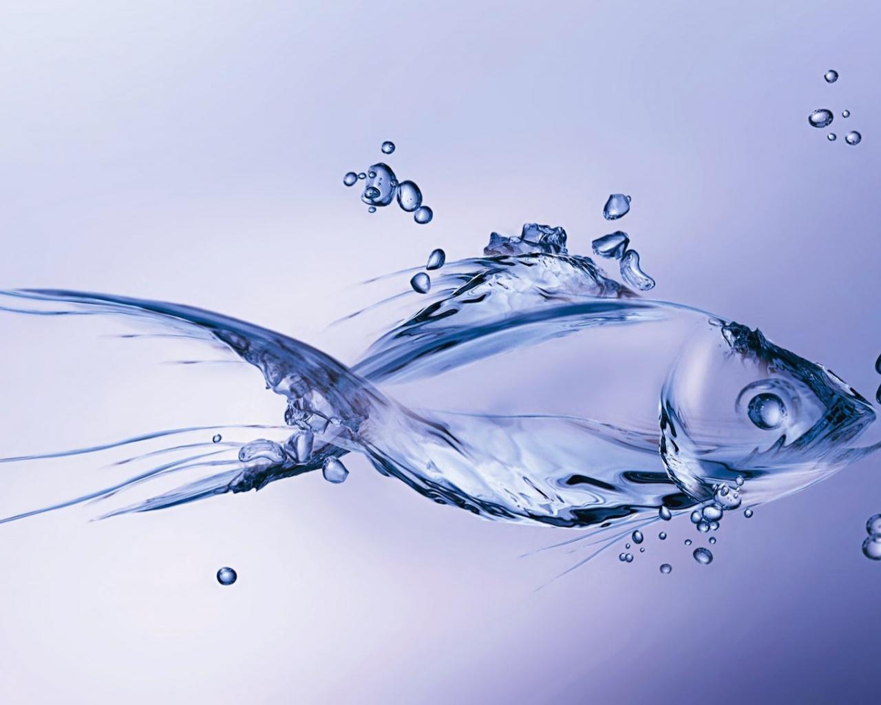 Abstract Fish Wallpapers - Top Free Abstract Fish Backgrounds ...