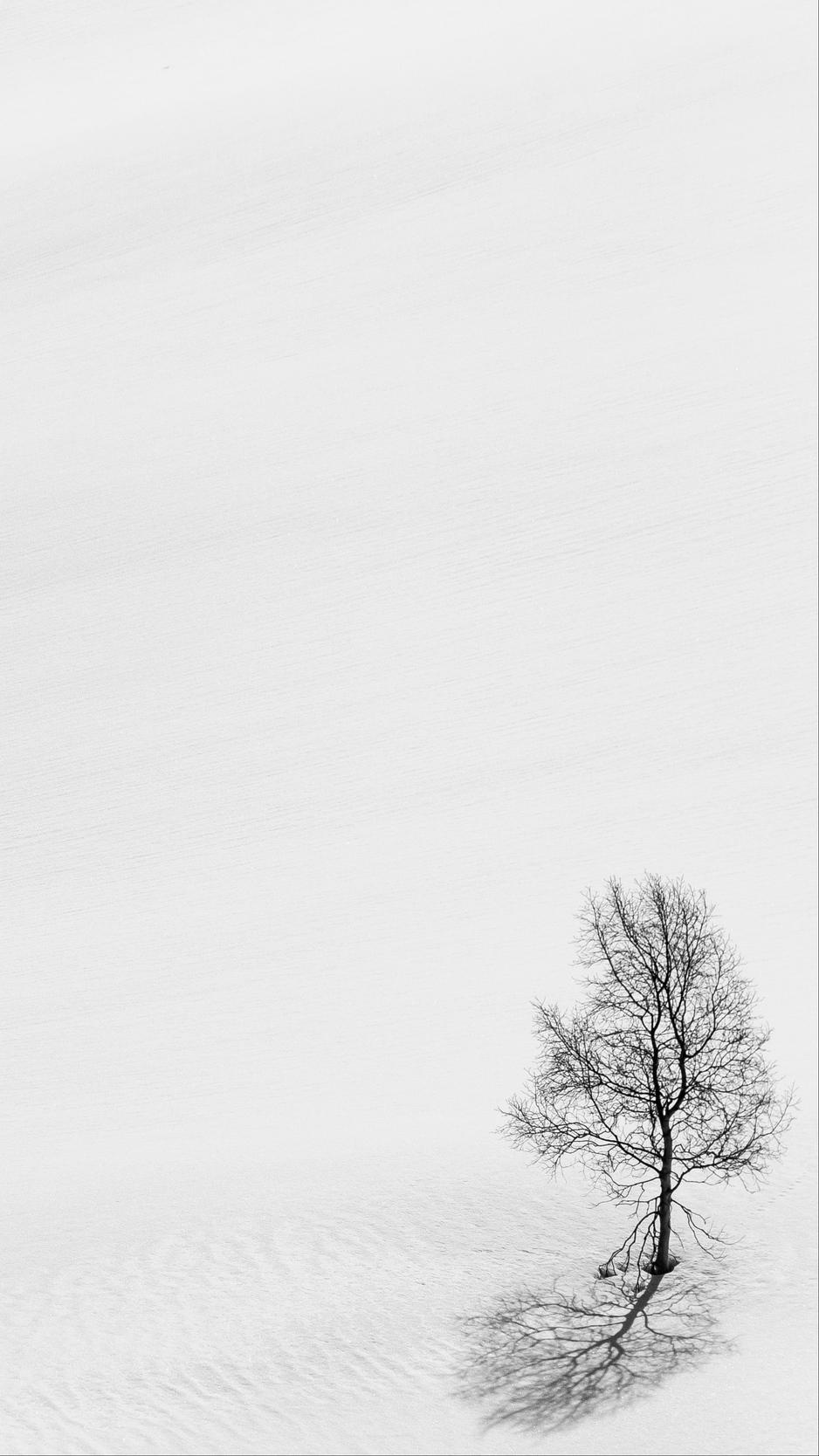 Minimal Winter Wallpapers - Top Free Minimal Winter Backgrounds ...
