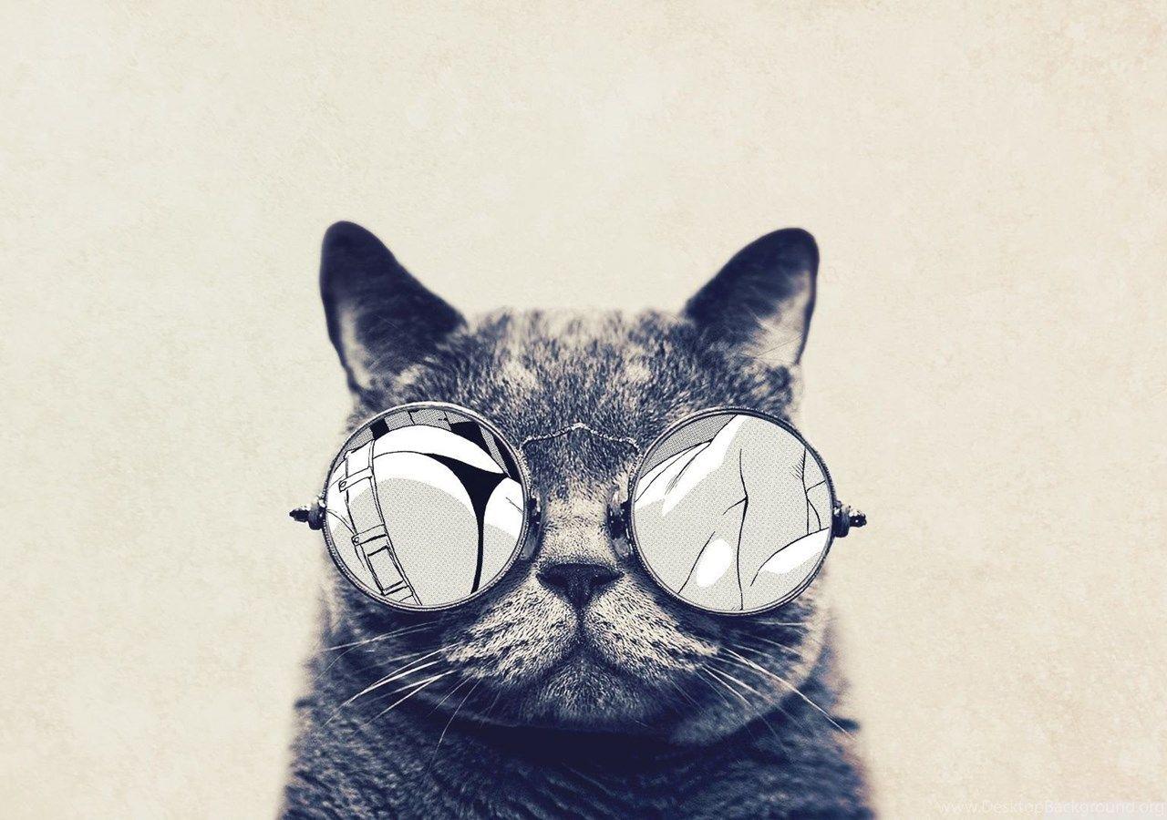 Vintage Cat Wallpapers - Top Free Vintage Cat Backgrounds - WallpaperAccess