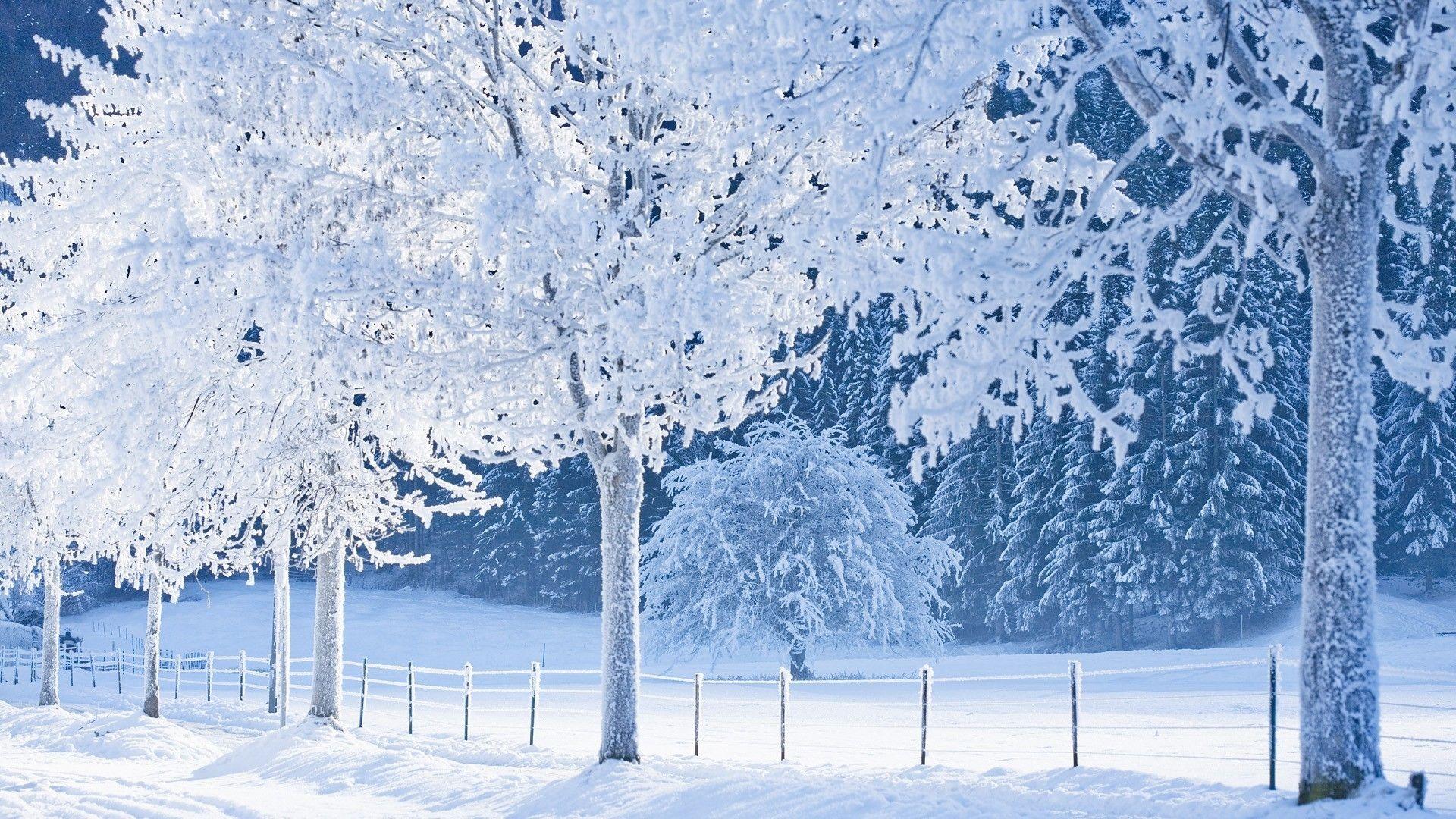Germany Snow Wallpapers - Top Free Germany Snow Backgrounds ...