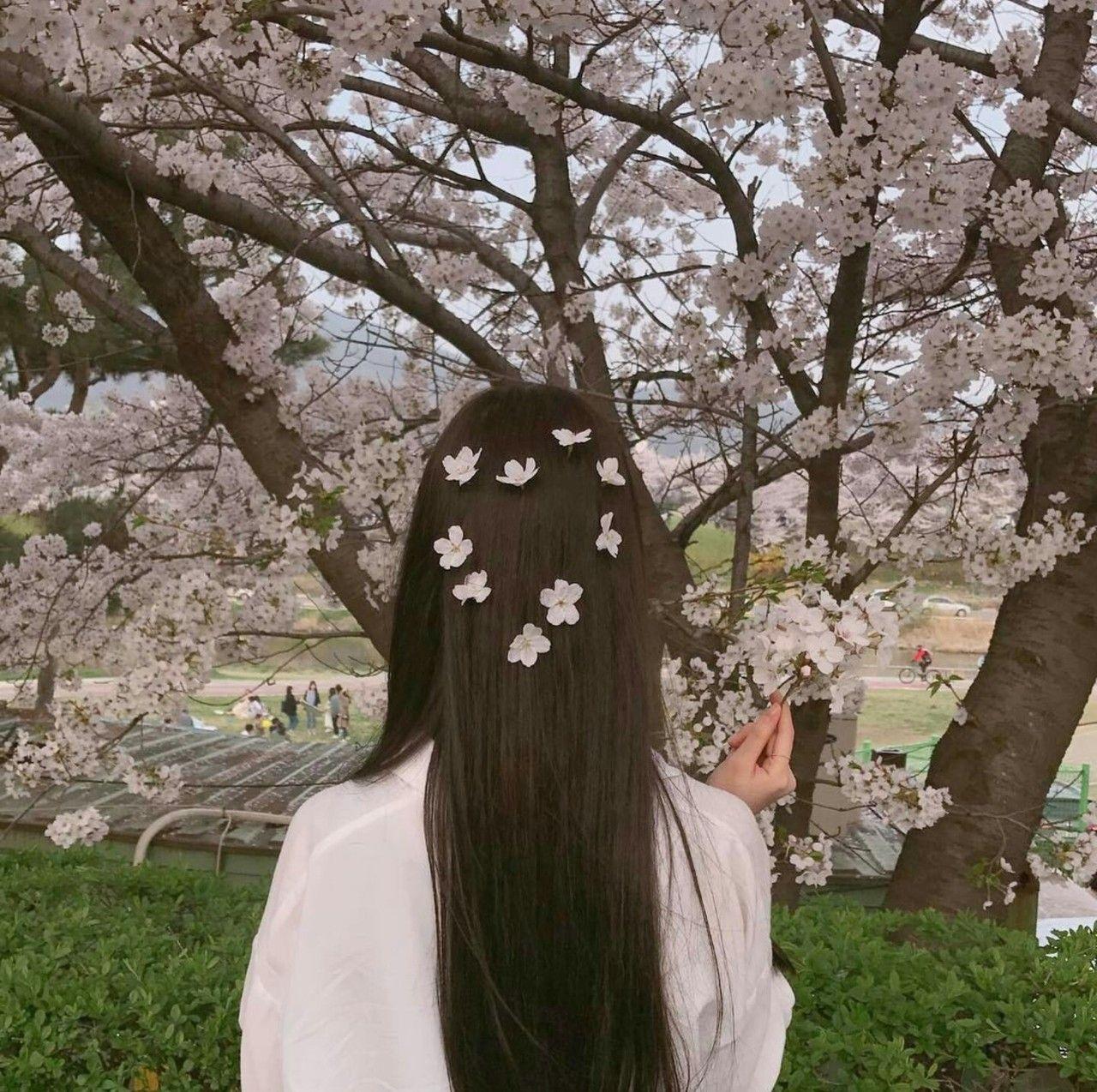 Ulzzang Girl Wallpapers - Top Những Hình Ảnh Đẹp