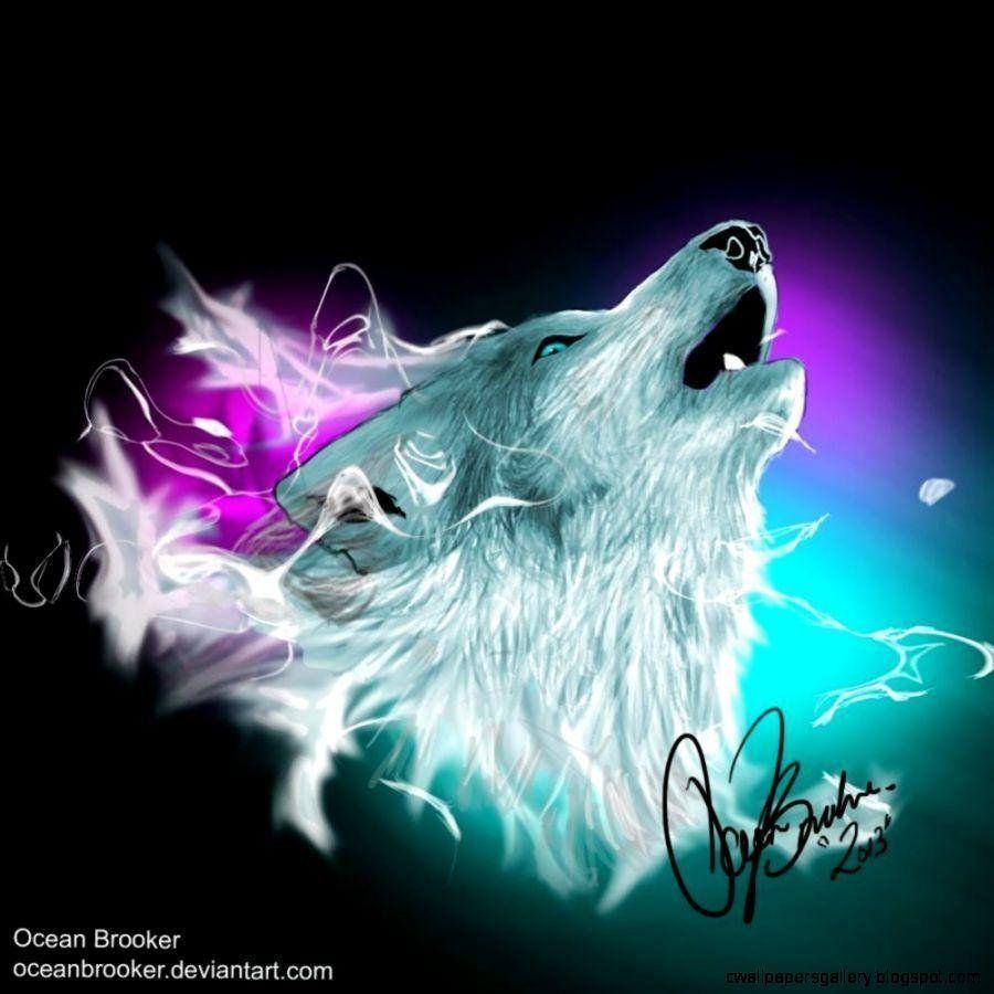 Light Wolf Wallpapers - Top Free Light Wolf Backgrounds - WallpaperAccess