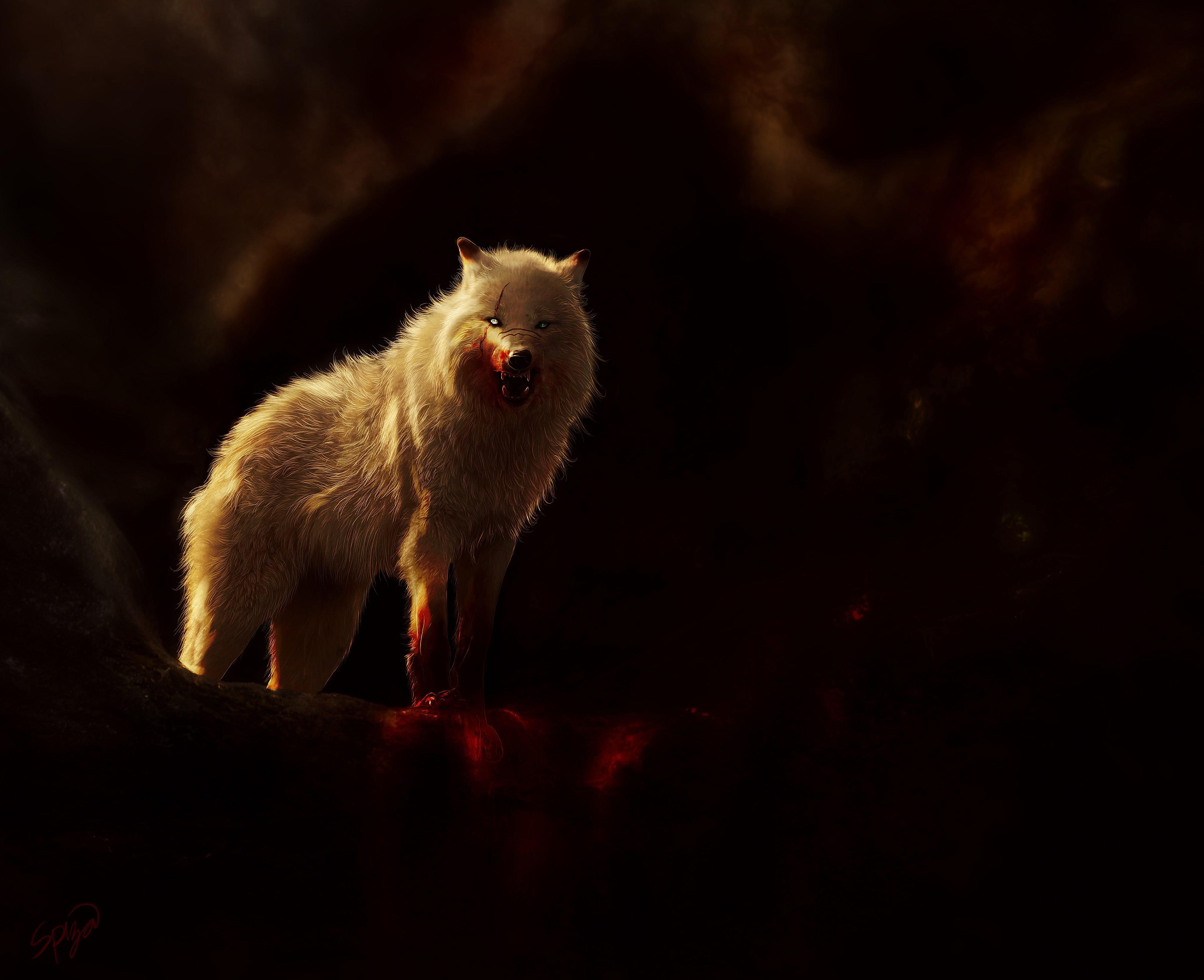 Digital Wolf Wallpapers - Top Free Digital Wolf Backgrounds ...