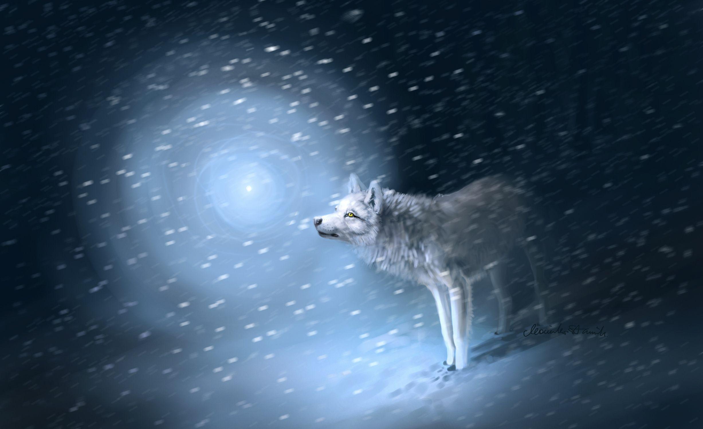 Light Wolf Wallpapers - Top Free Light Wolf Backgrounds - WallpaperAccess