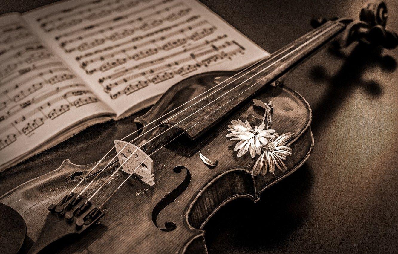 Cool Violin Wallpapers - Top Free Cool Violin Backgrounds - WallpaperAccess