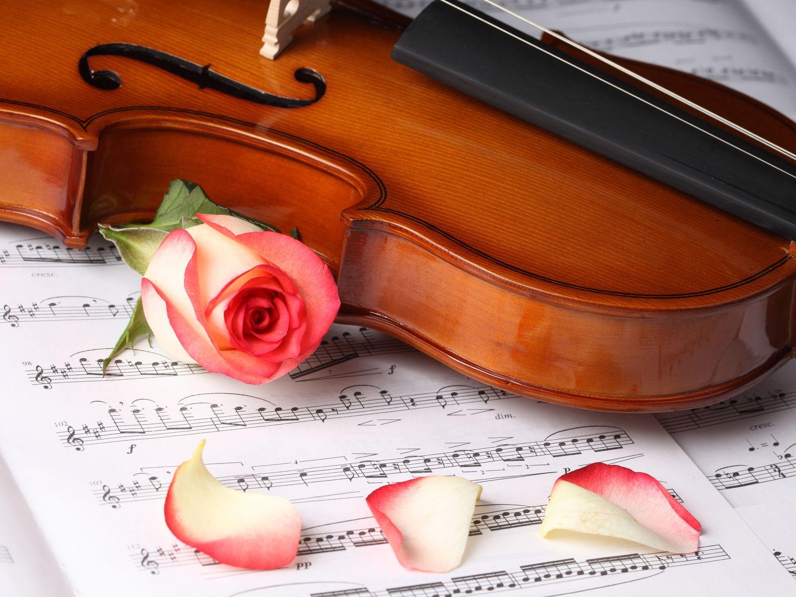 Beautiful Violin Wallpapers - Top Free Beautiful Violin Backgrounds ...