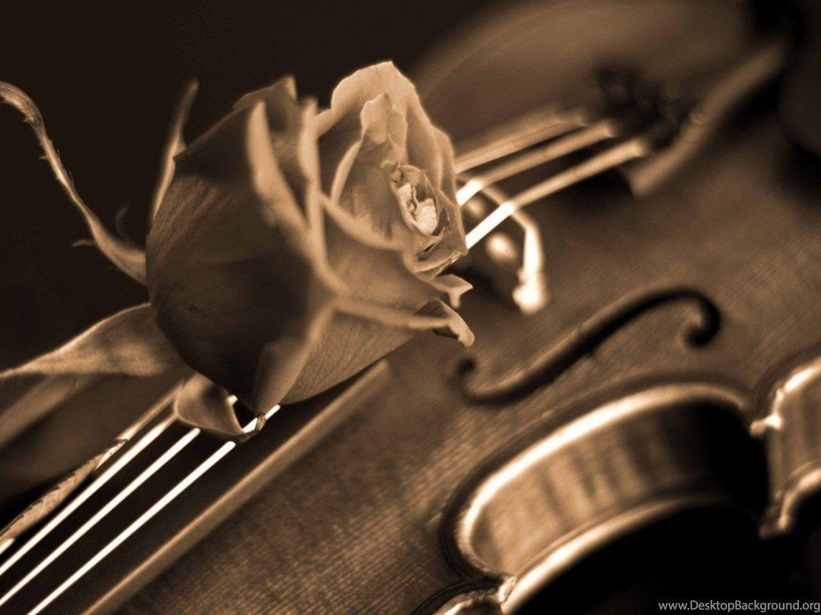 Cool Violin Wallpapers - Top Free Cool Violin Backgrounds - WallpaperAccess