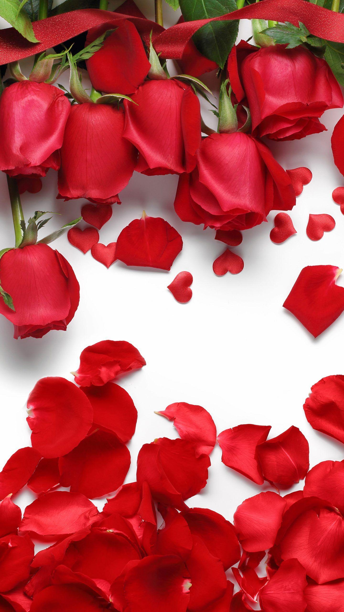 Red Roses Art Wallpapers - Top Free Red Roses Art Backgrounds ...