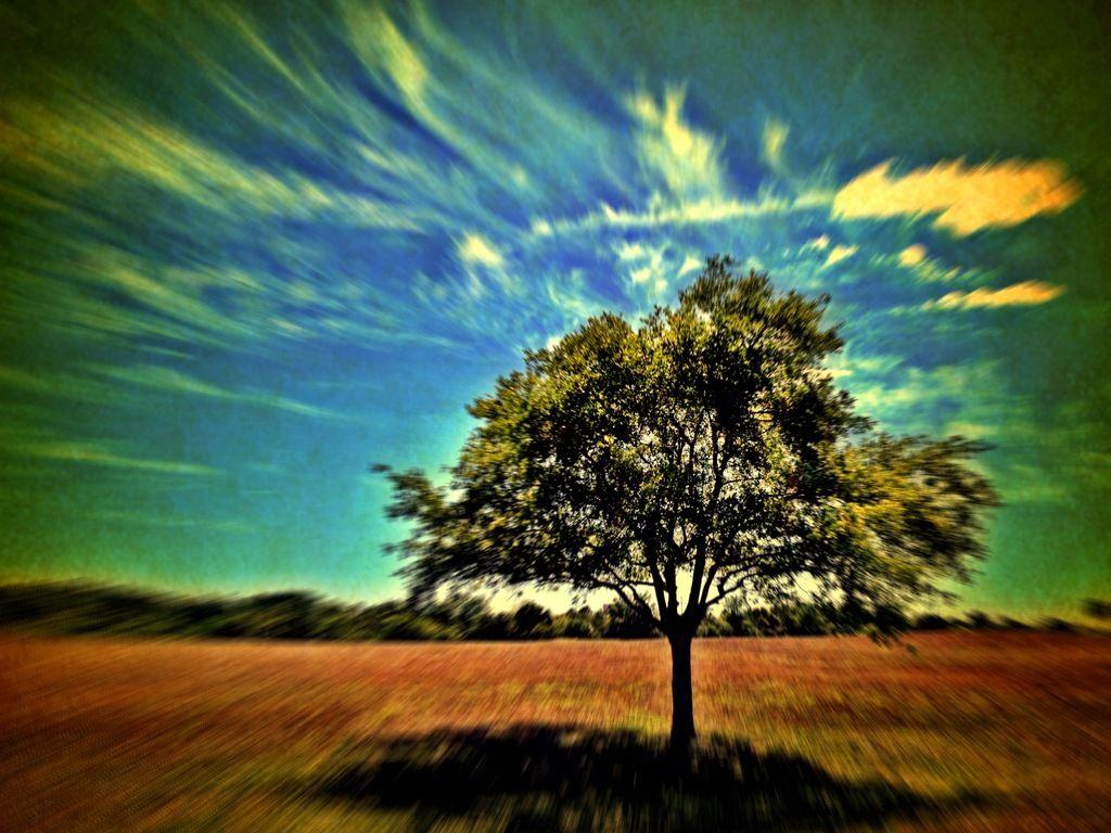 Trippy Nature Wallpapers - Top Free Trippy Nature Backgrounds ...