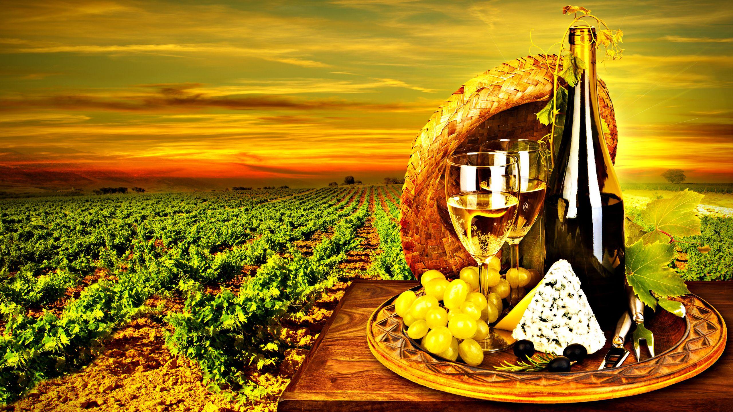 Winery Wallpapers - Top Free Winery Backgrounds - WallpaperAccess