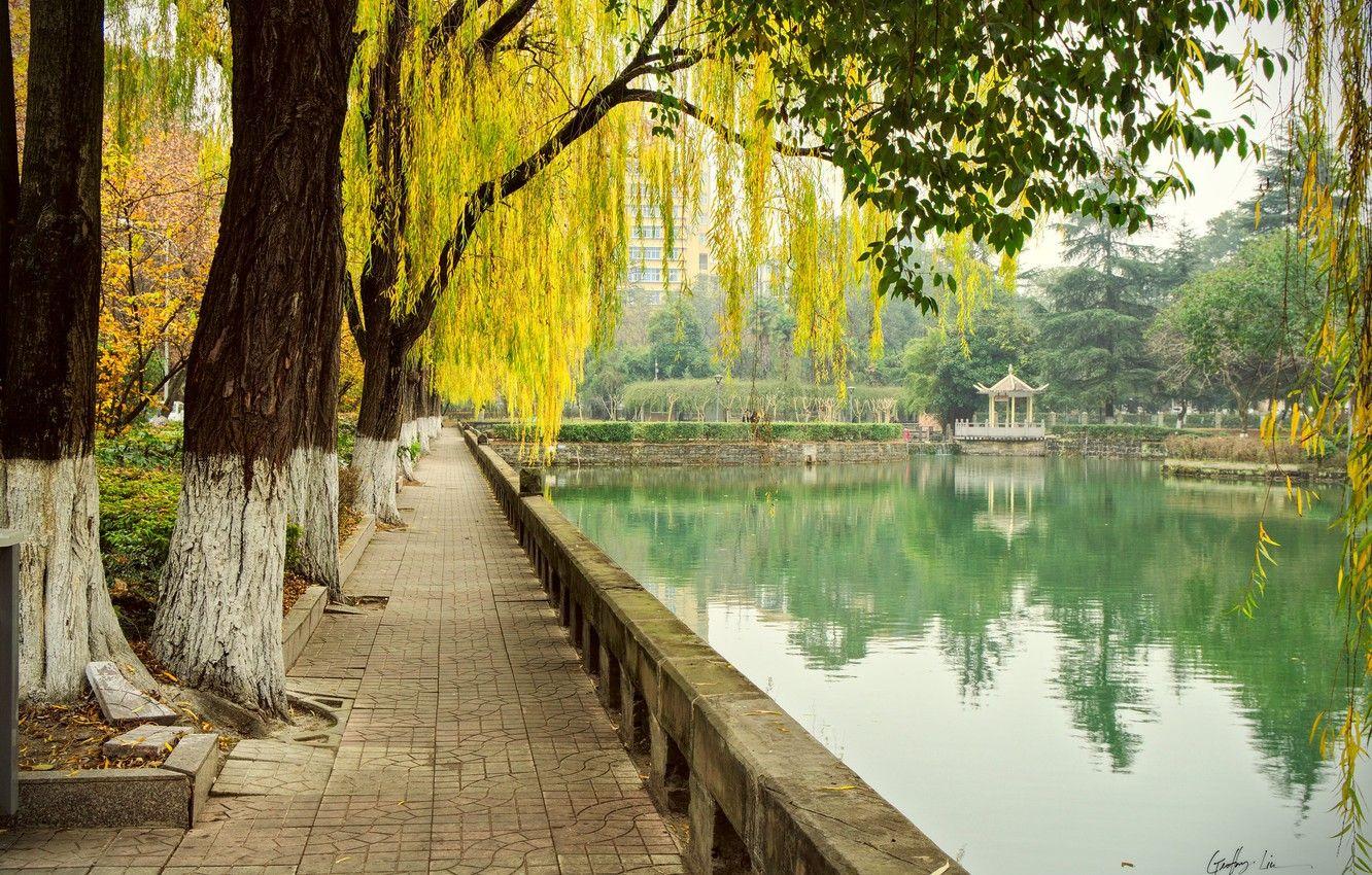 Chengdu Wallpapers - Top Free Chengdu Backgrounds - WallpaperAccess