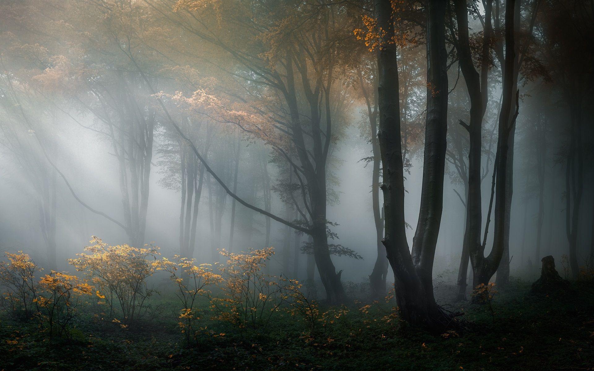 Haze Wallpapers - Top Free Haze Backgrounds - WallpaperAccess