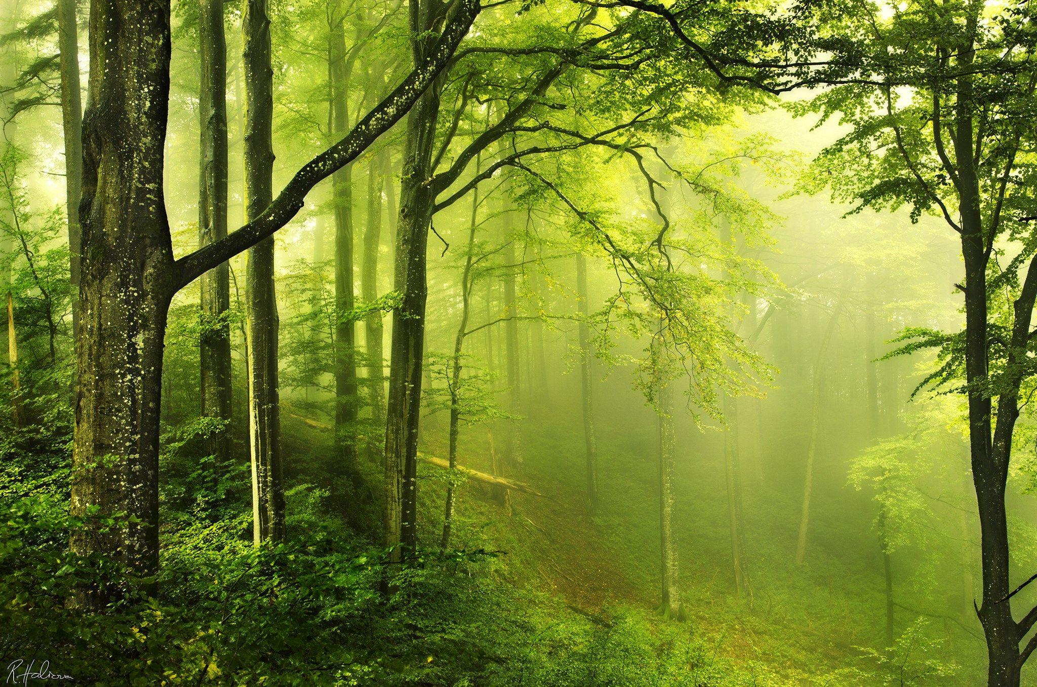 Haze Wallpapers - Top Free Haze Backgrounds - WallpaperAccess