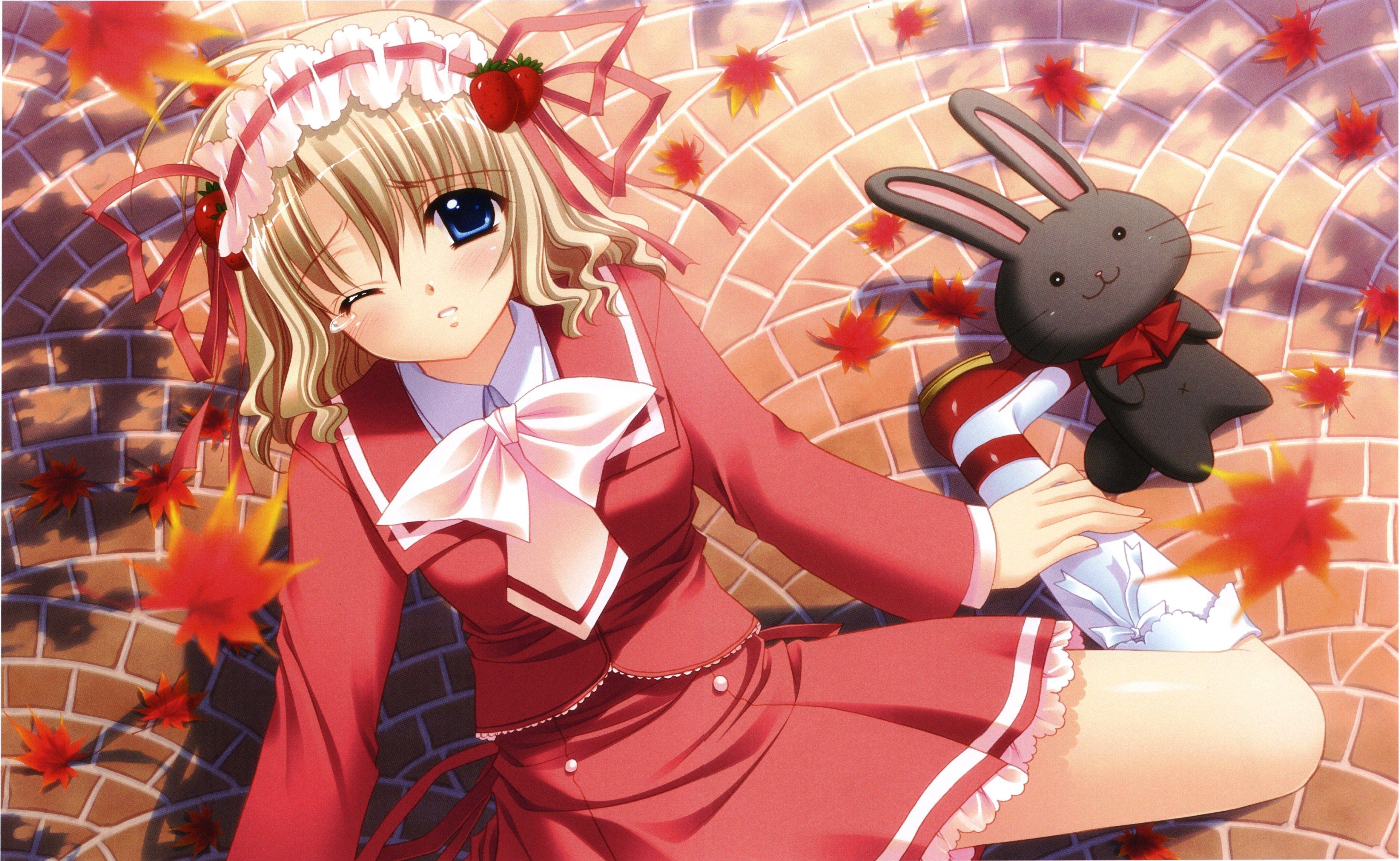 Royale High Wallpapers - Top Free Royale High Backgrounds - WallpaperAccess