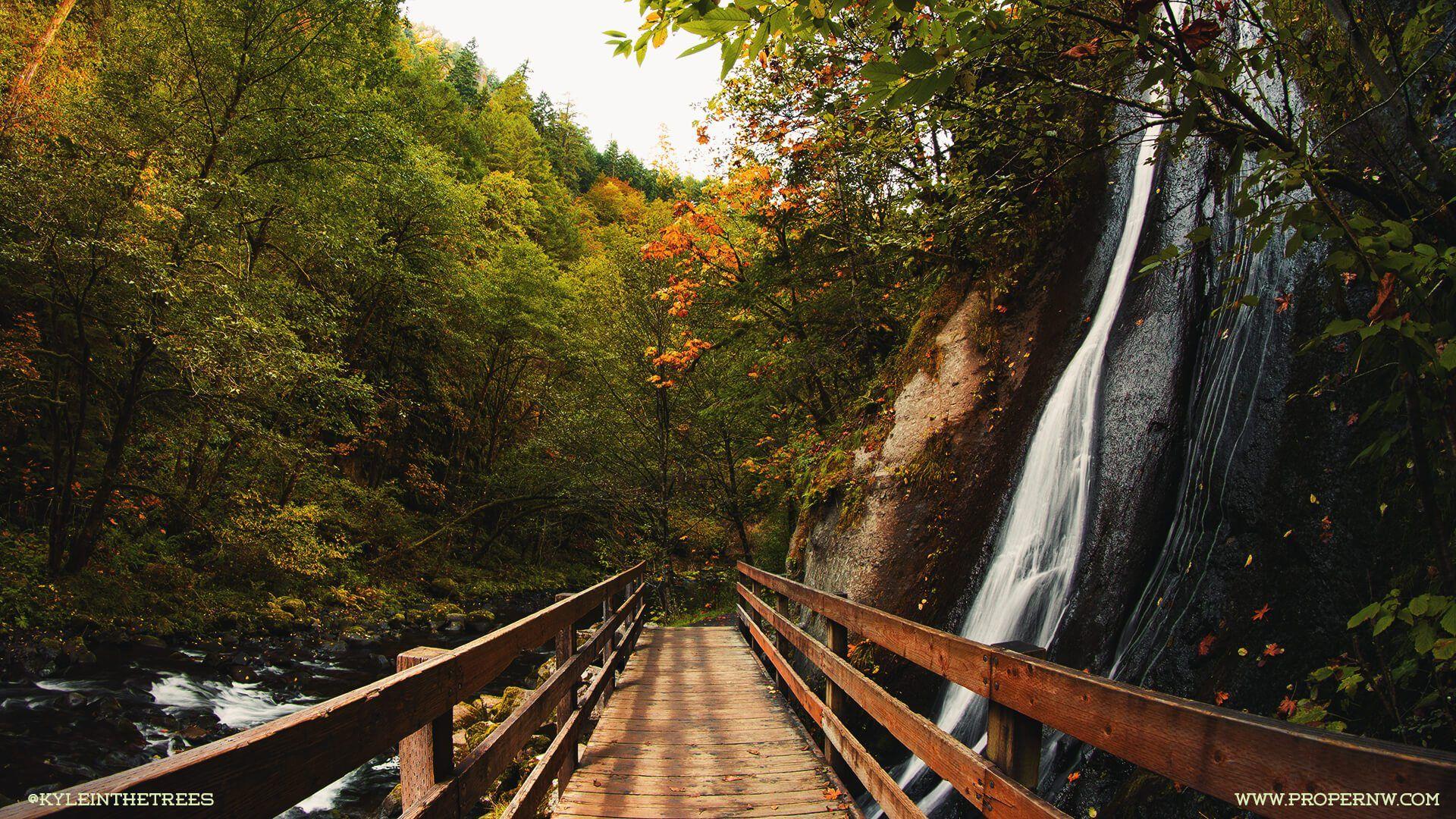 PNW Wallpapers - Top Free PNW Backgrounds - WallpaperAccess