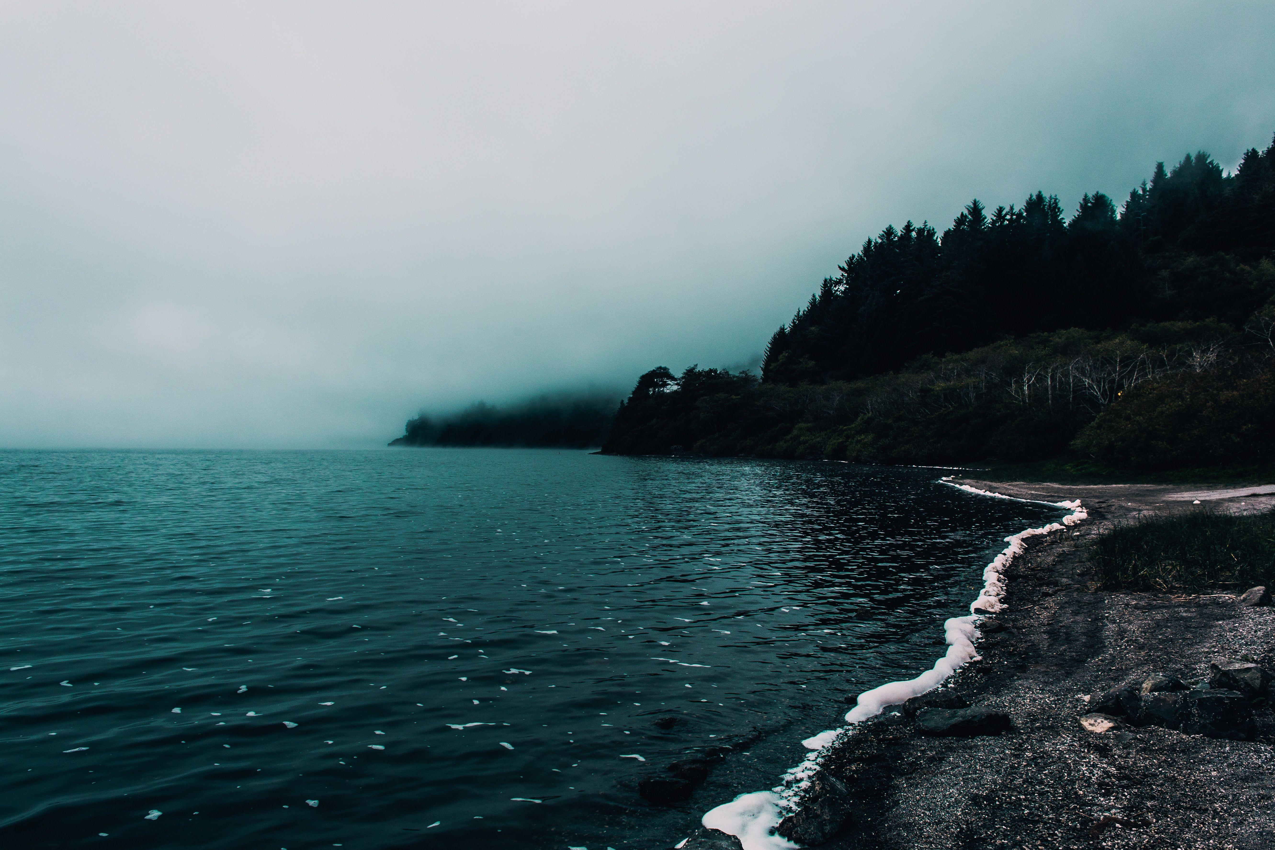 PNW Wallpapers - Top Free PNW Backgrounds - WallpaperAccess