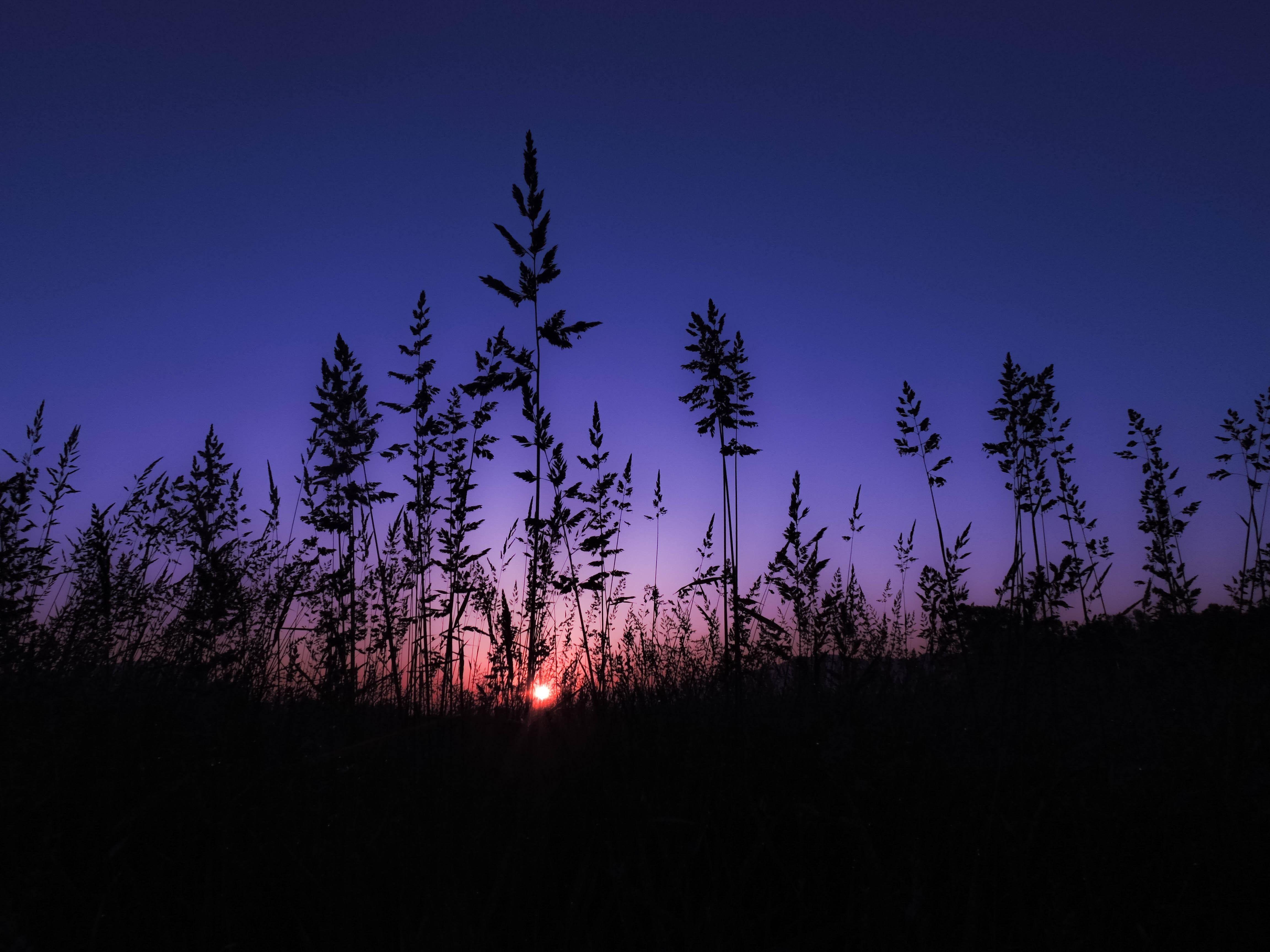 PNW Wallpapers - Top Free PNW Backgrounds - WallpaperAccess