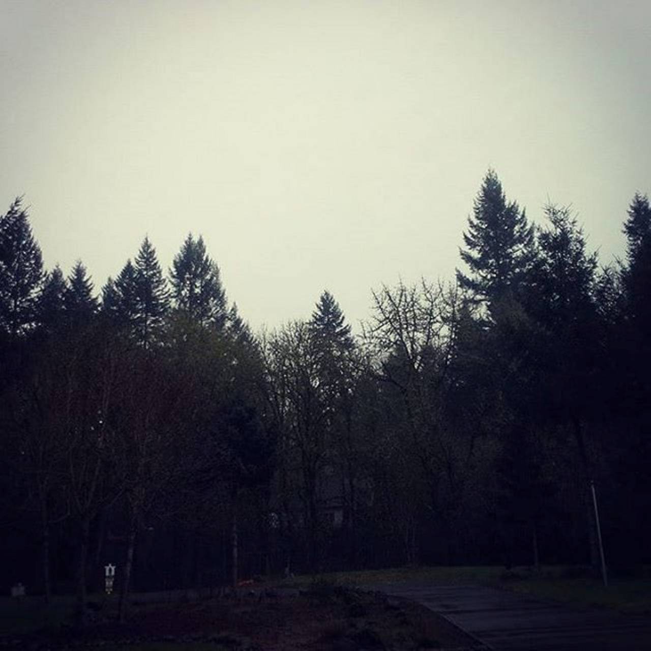 PNW Wallpapers - Top Free PNW Backgrounds - WallpaperAccess