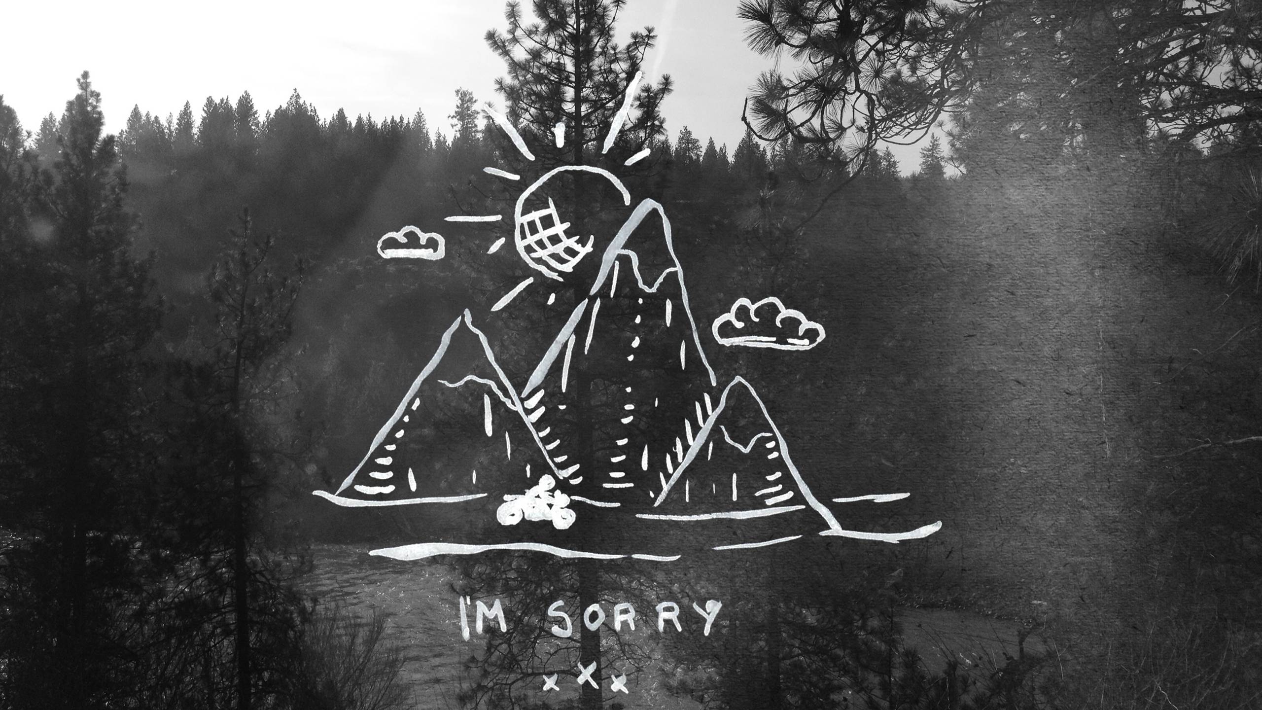 PNW Wallpapers - Top Free PNW Backgrounds - WallpaperAccess