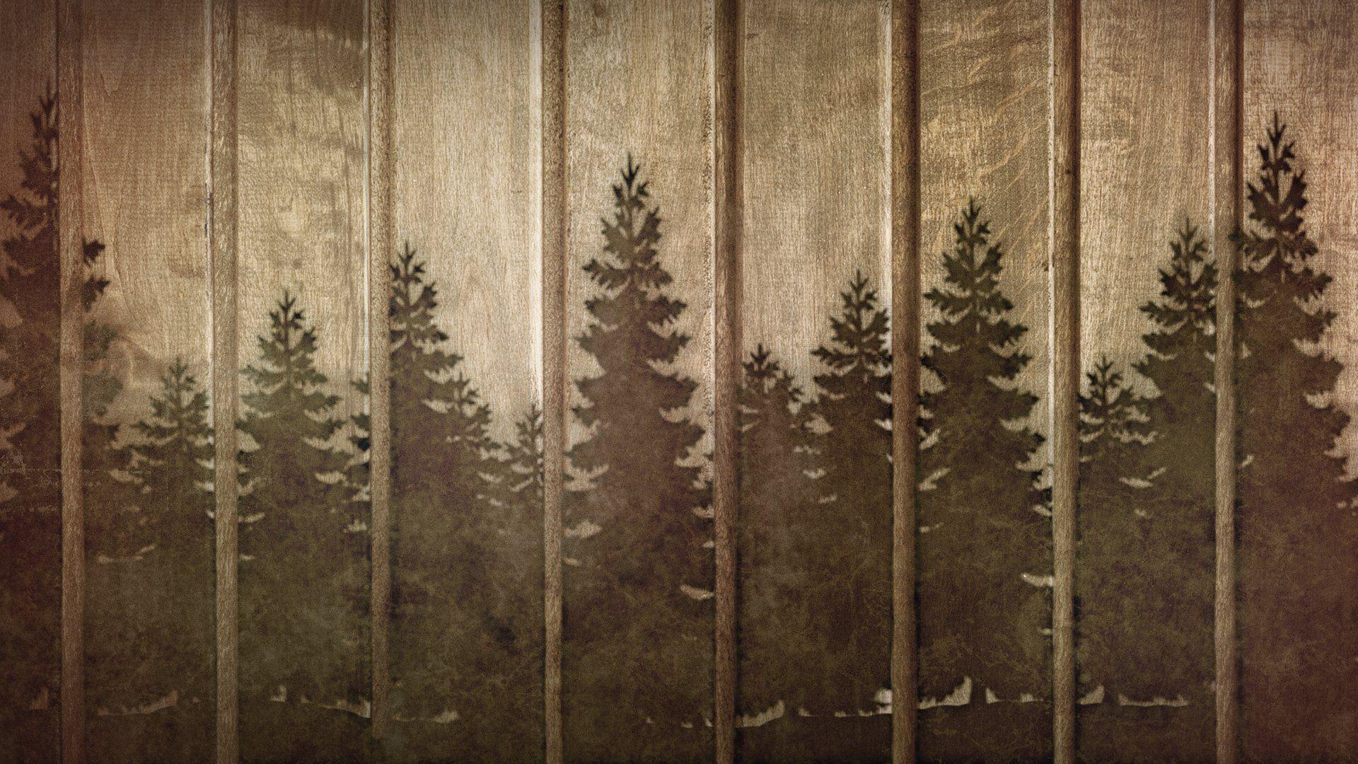 PNW Wallpapers - Top Free PNW Backgrounds - WallpaperAccess