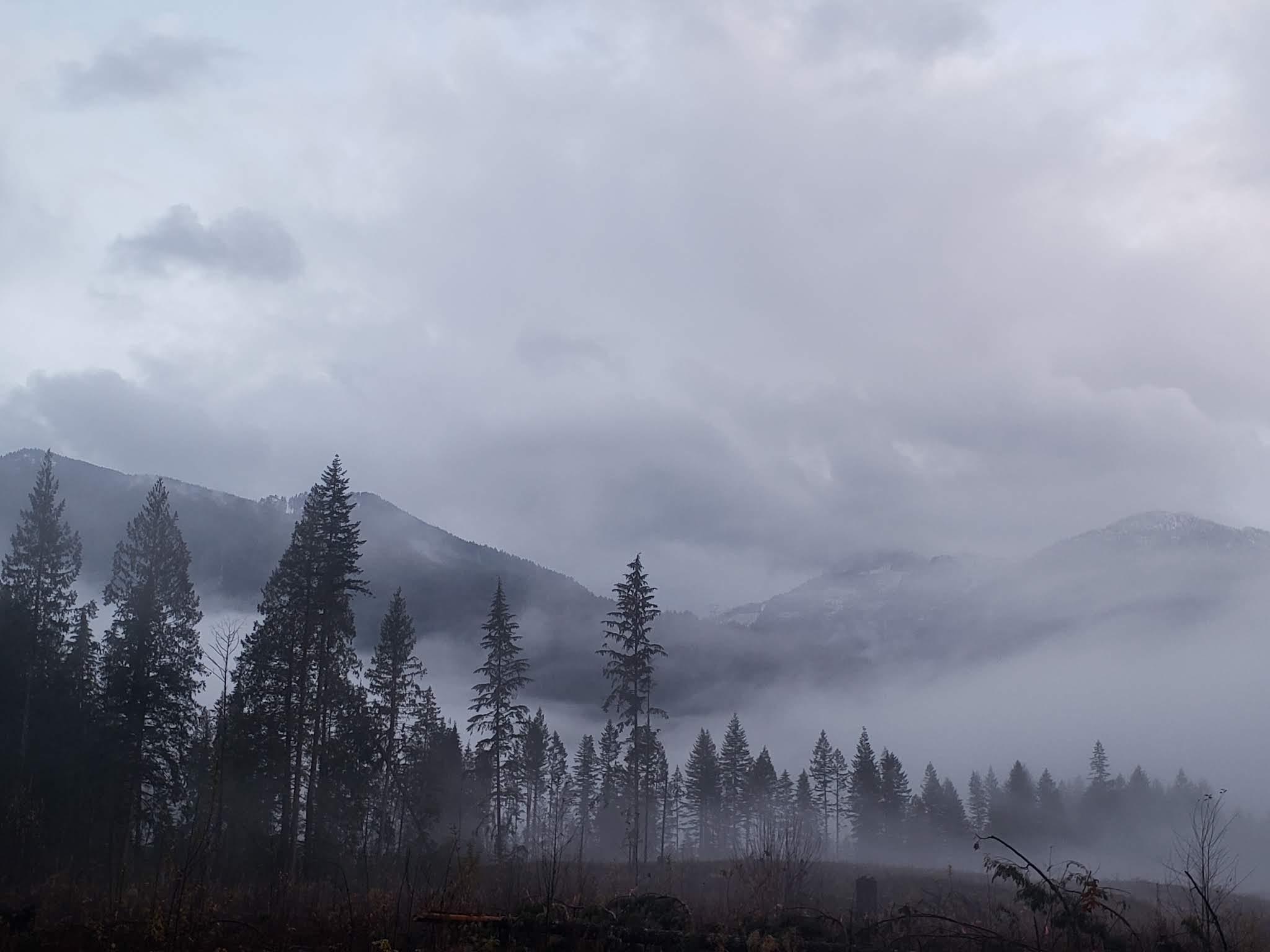 PNW Wallpapers - Top Free PNW Backgrounds - WallpaperAccess