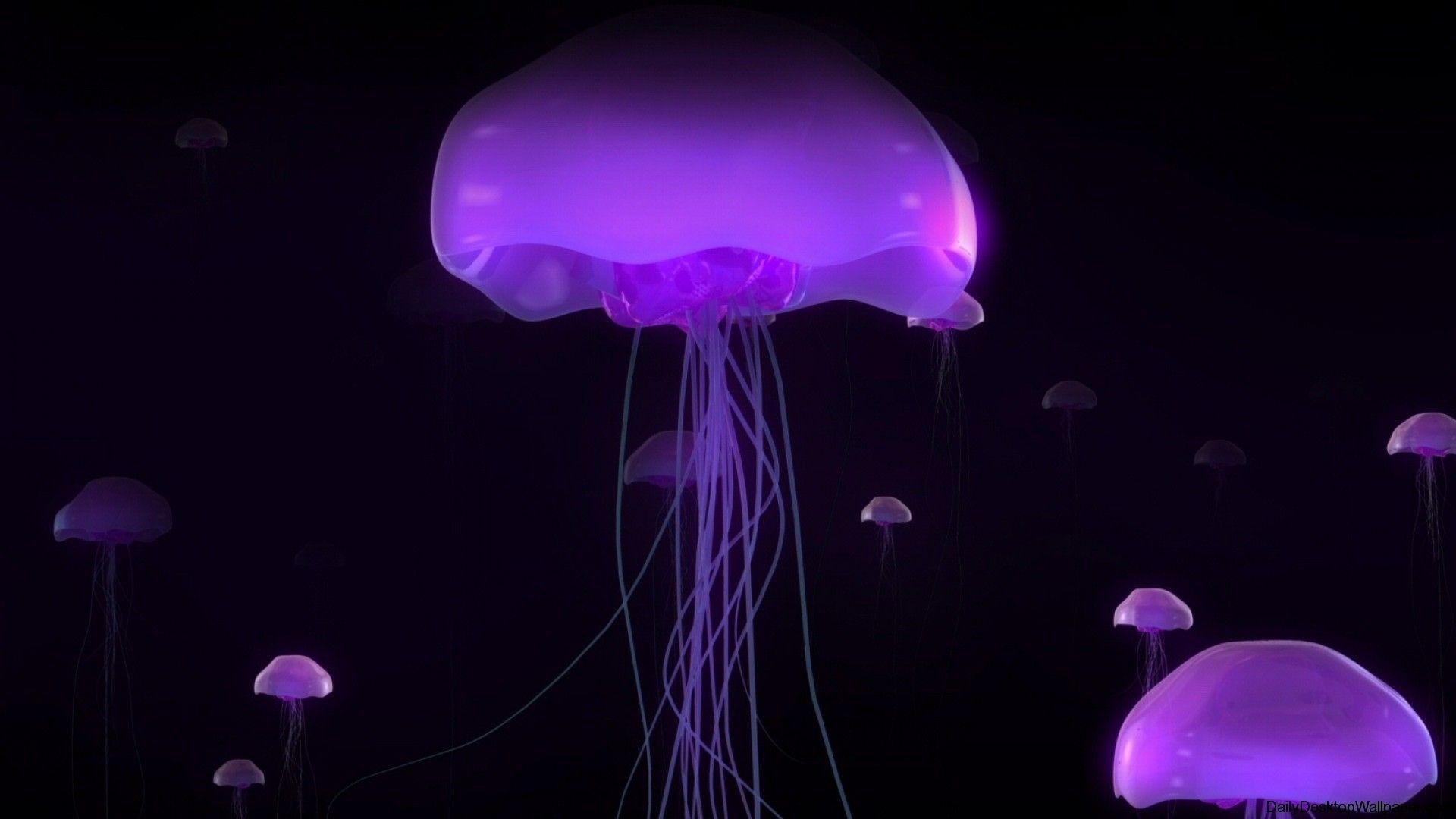 Jellyfish Desktop Wallpapers - Top Free Jellyfish Desktop Backgrounds ...
