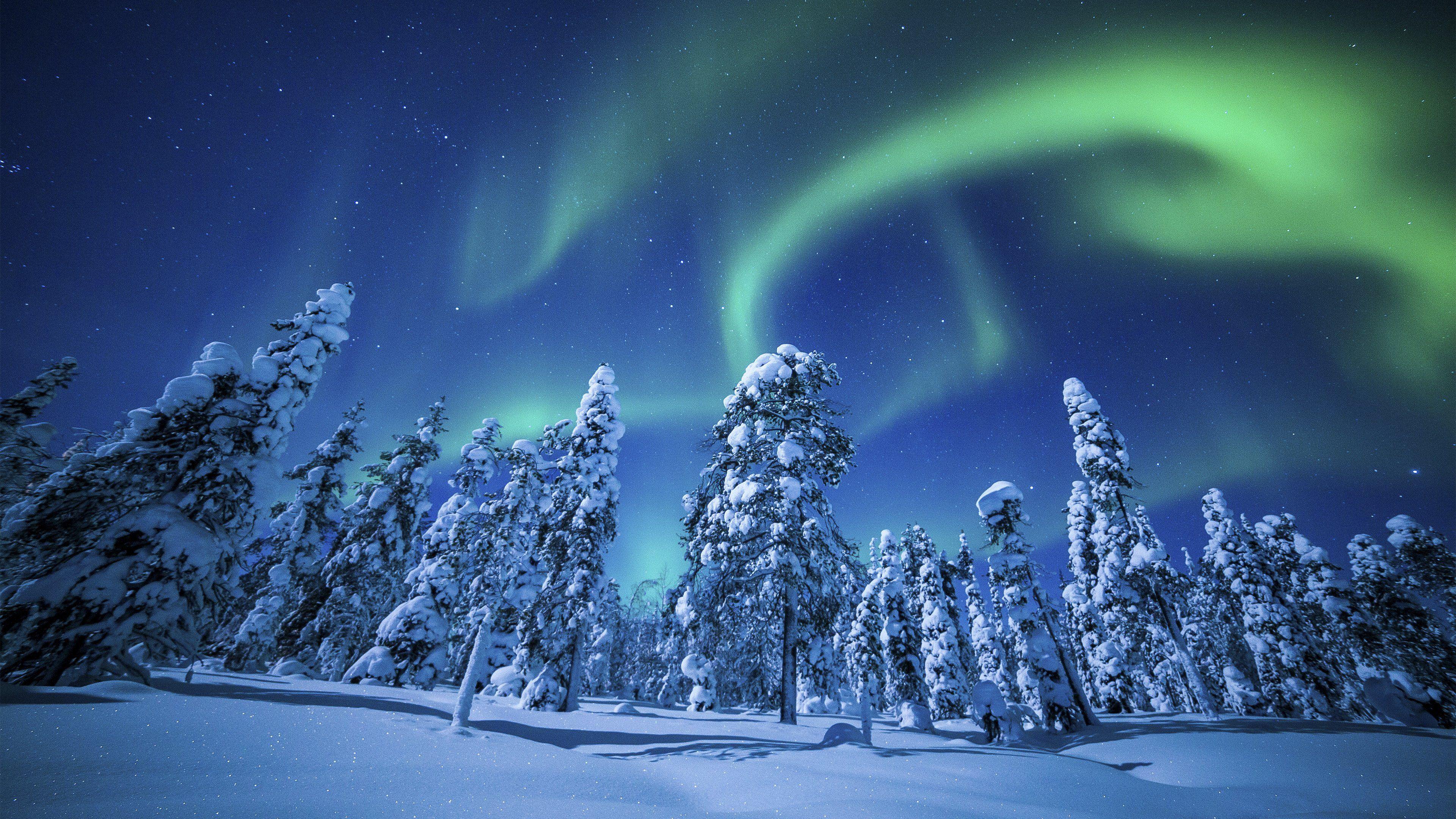 Northern Lights Forest Wallpapers - Top Free Northern Lights Forest ...