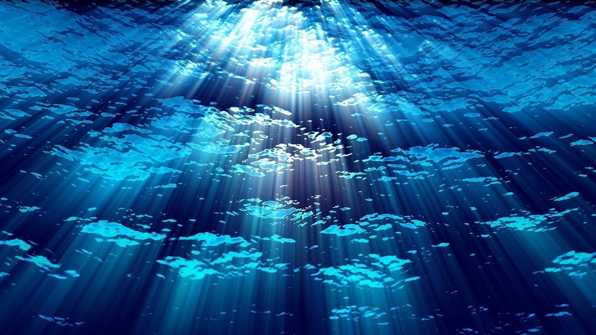 Underwater Wallpapers - Top Free Underwater Backgrounds - WallpaperAccess