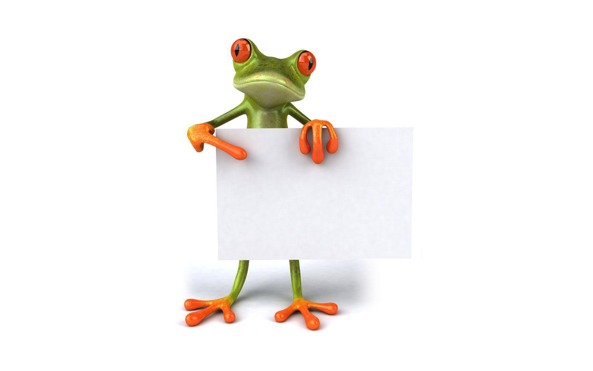 Frog Desktop Wallpapers - Top Free Frog Desktop Backgrounds ...