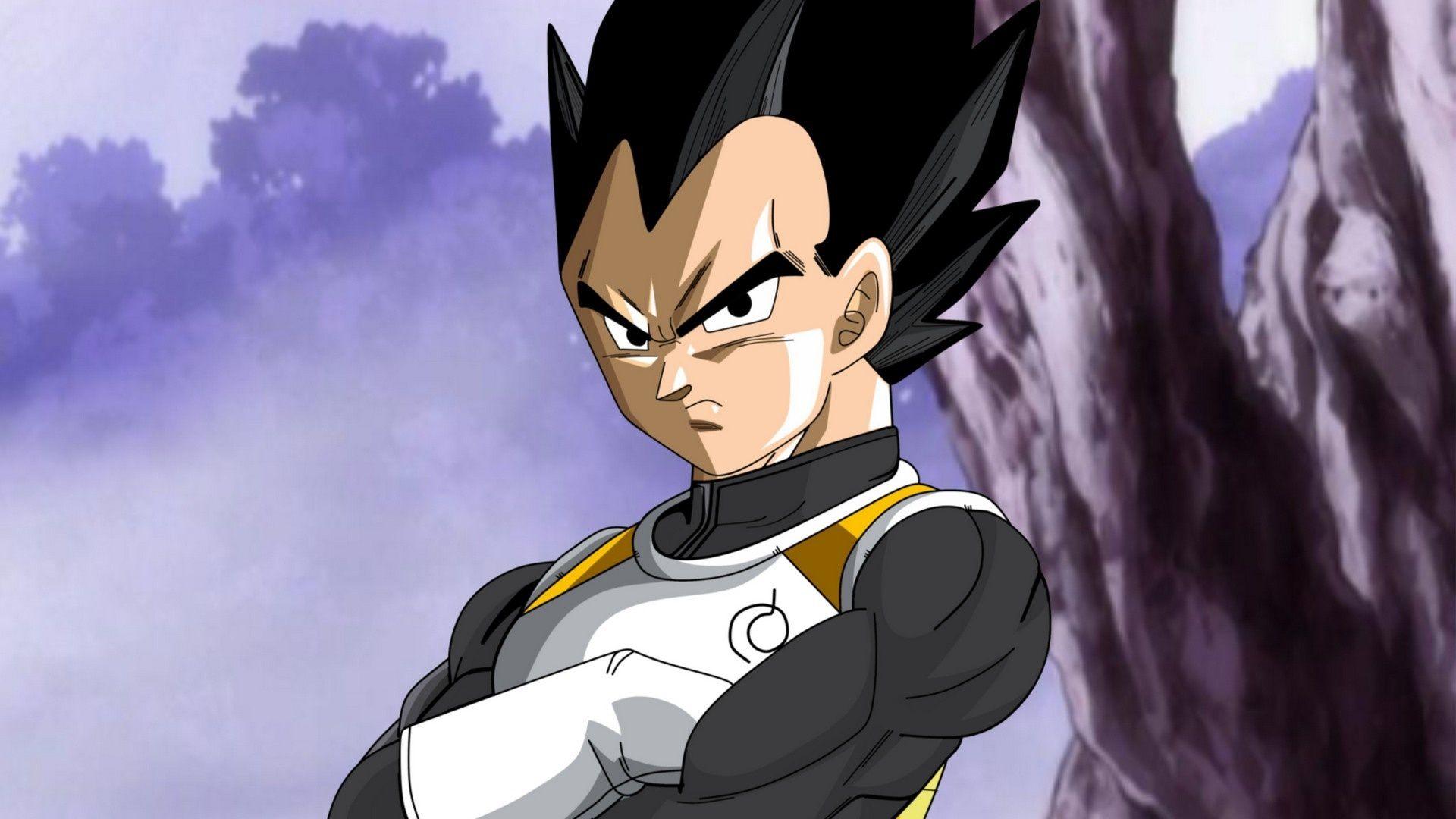 Angry Vegeta Wallpapers - Top Free Angry Vegeta Backgrounds ...