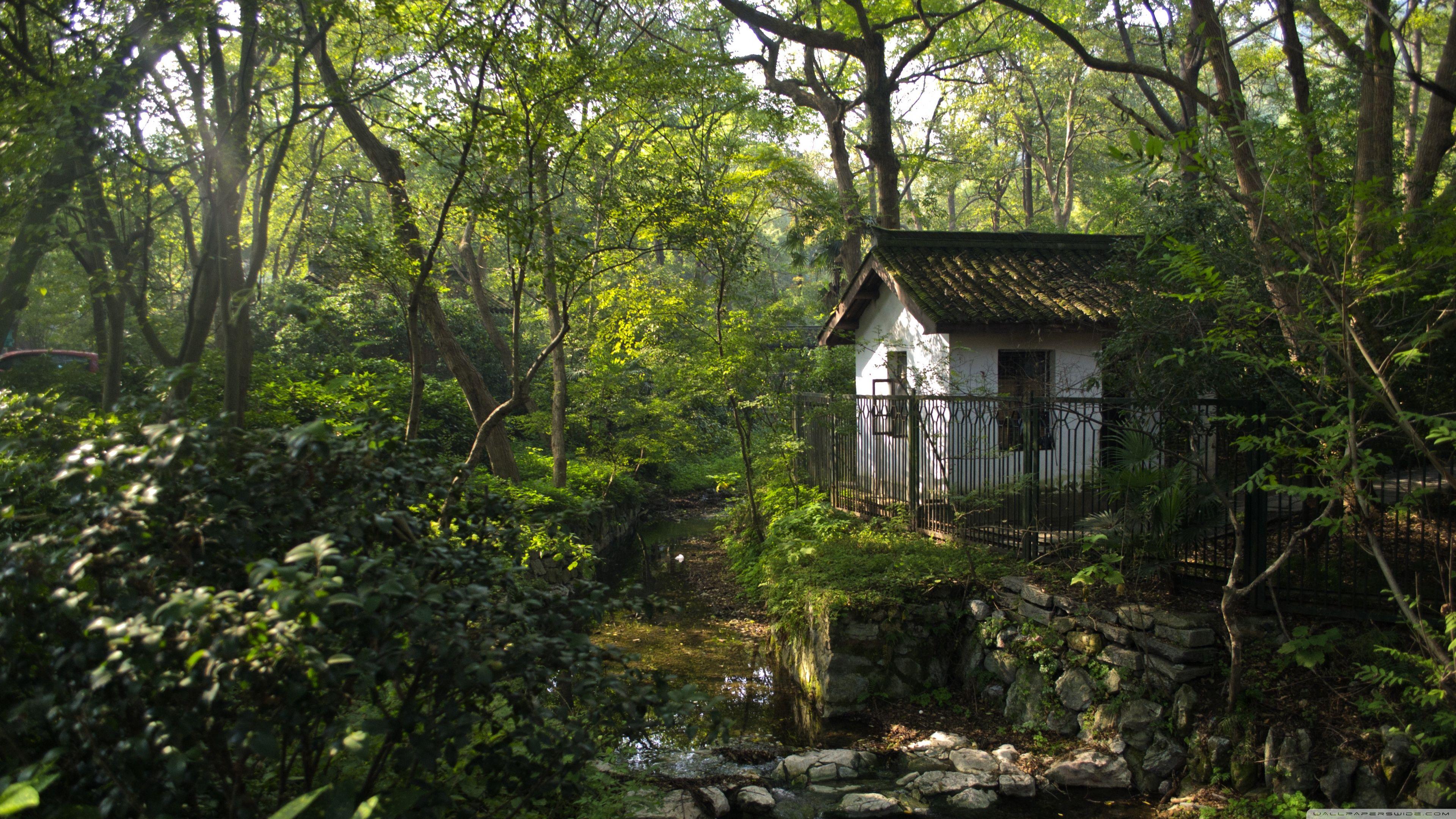 House Forest Wallpapers - Top Free House Forest Backgrounds ...