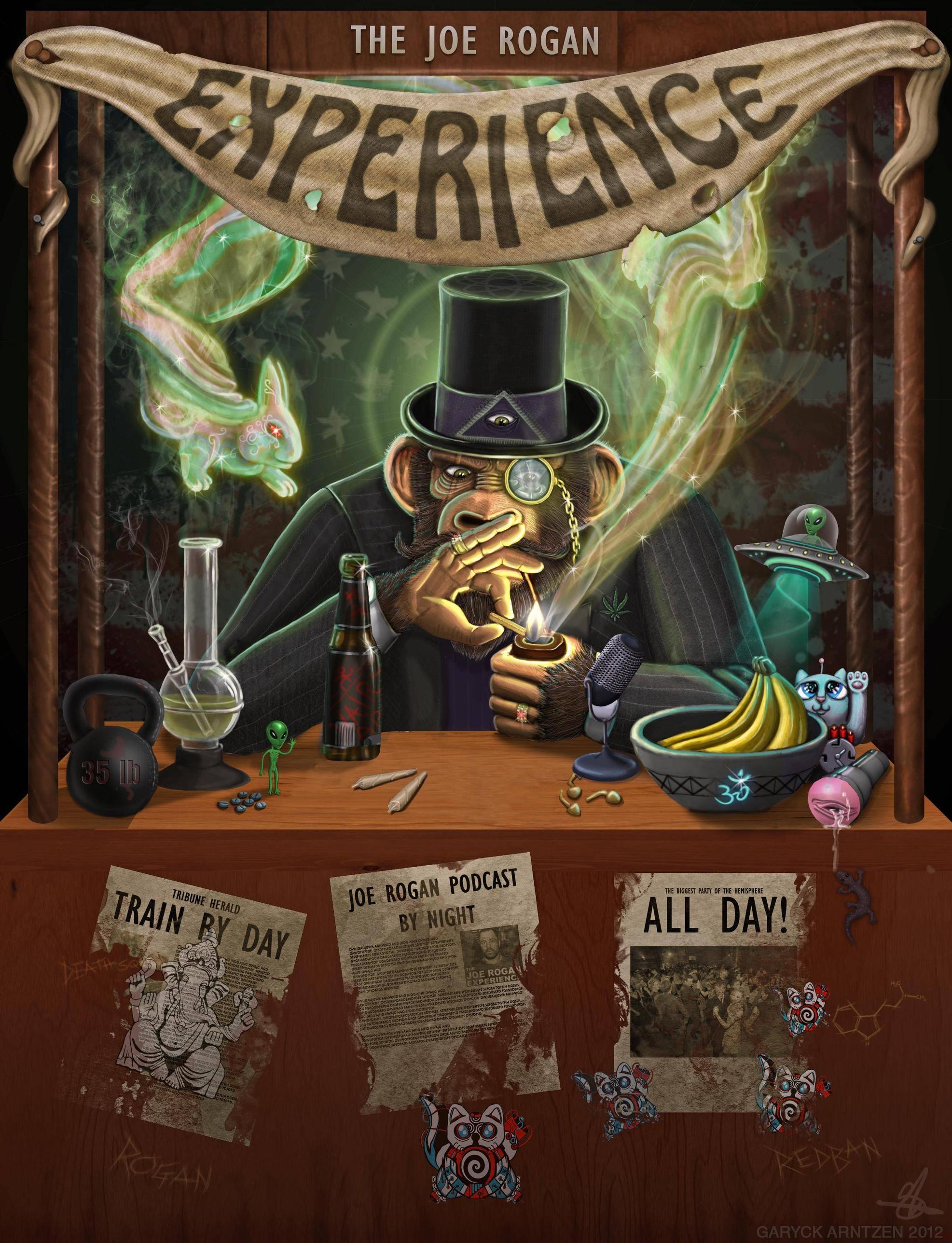 Joe Rogan Wallpapers - Top Free Joe Rogan Backgrounds - WallpaperAccess