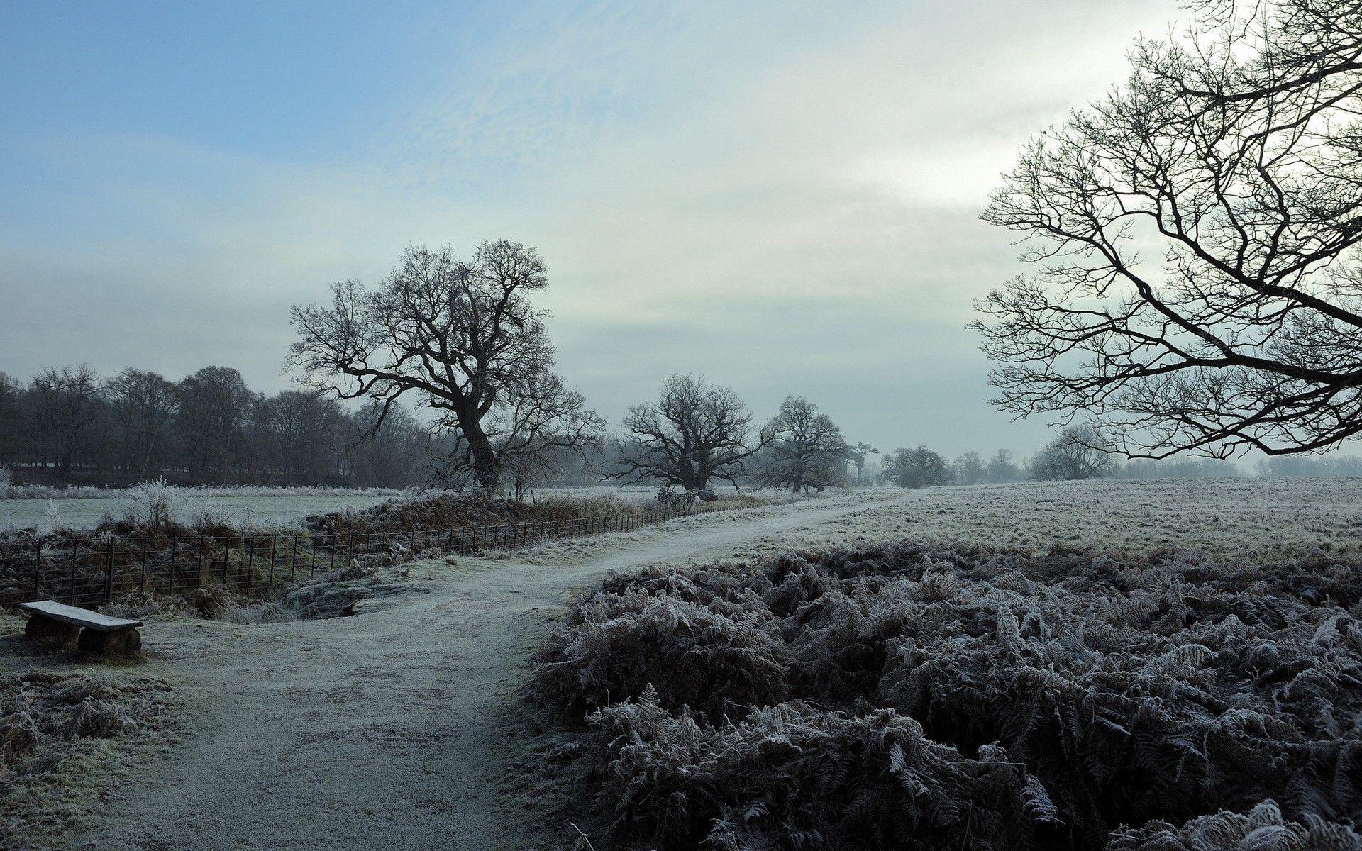 Poland Nature Wallpapers - Top Free Poland Nature Backgrounds ...