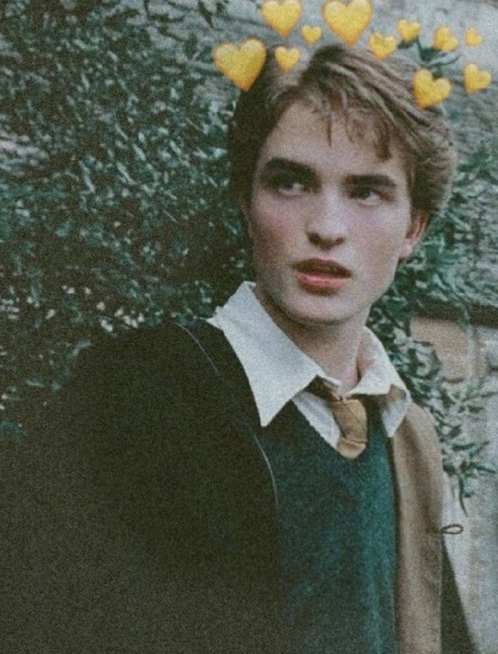 Cedric Diggory Wallpapers - Top Free Cedric Diggory Backgrounds ...