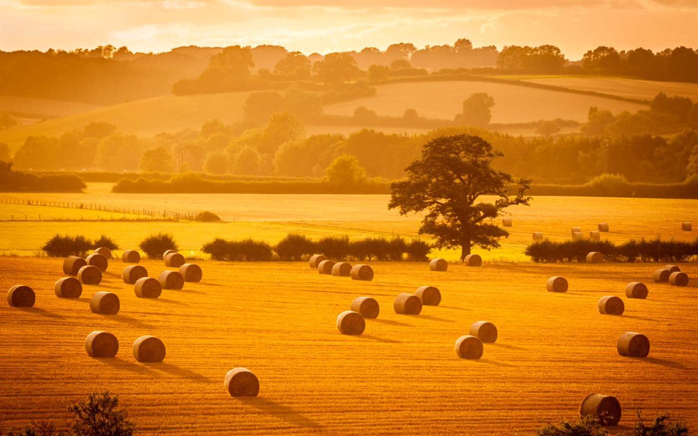 Only Yesterday Wallpapers - Top Free Only Yesterday Backgrounds ...