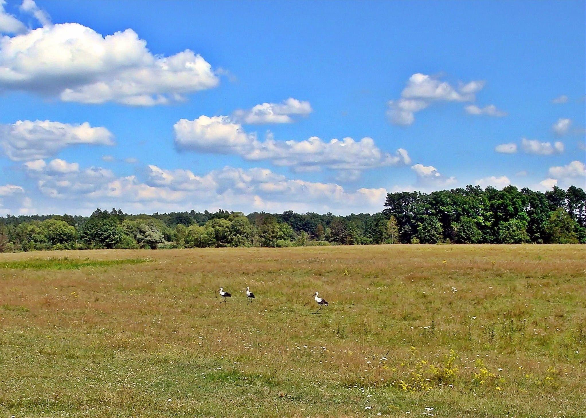 Poland Landscape Wallpapers - Top Free Poland Landscape Backgrounds ...